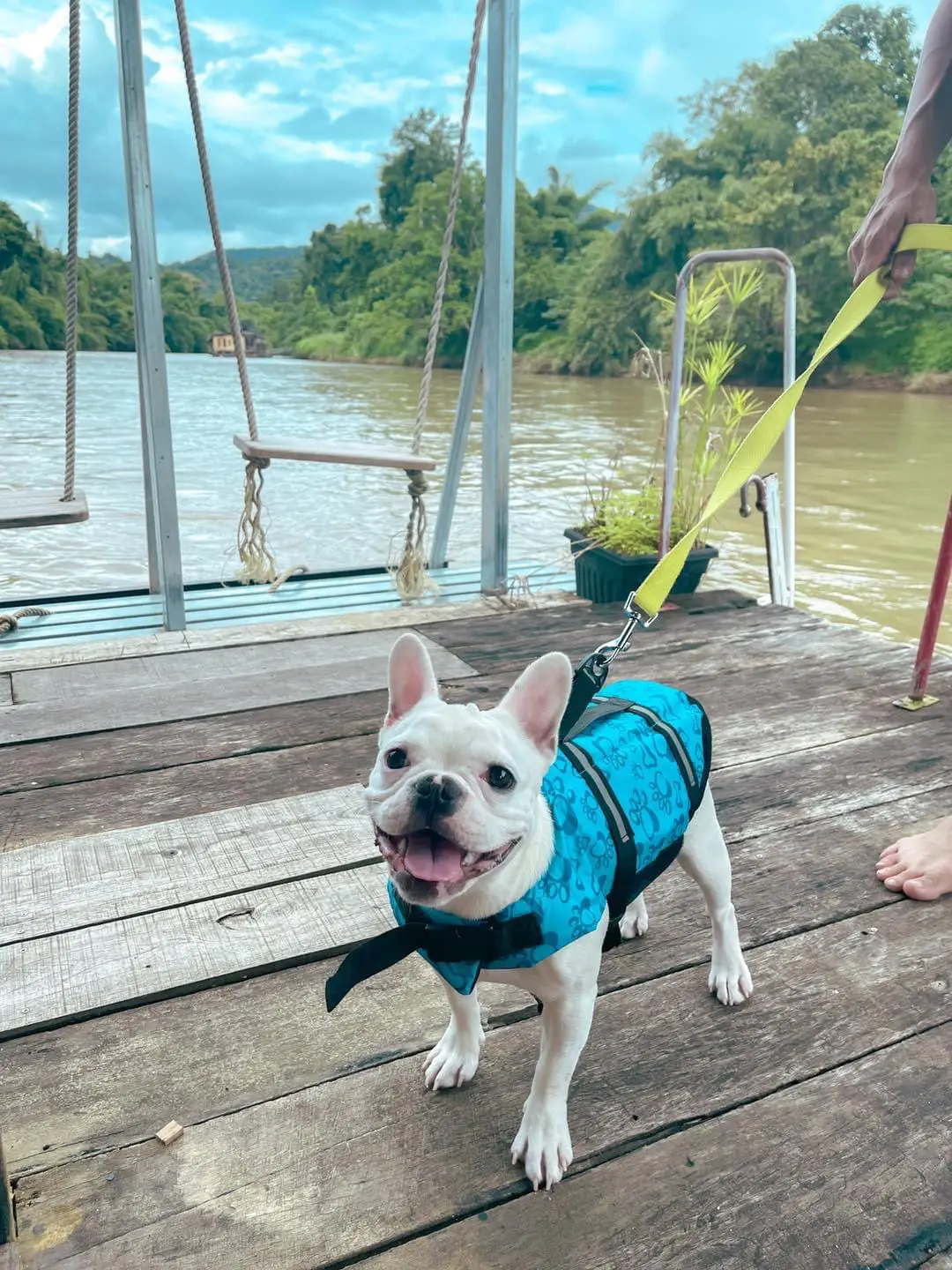 Take the dog to rafting # Kanchanaburi 🚣🏻‍♀️ | Gallery posted by ...