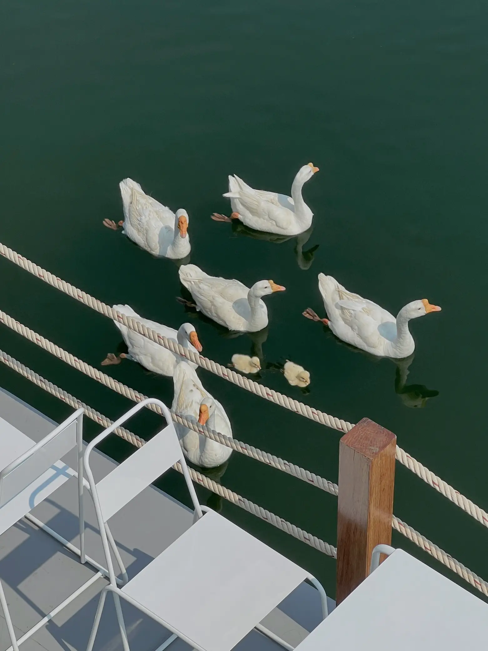 Start Cafe @NakhonPathom | แกลเลอรีที่โพสต์โดย บิ้บซี่ | Lemon8