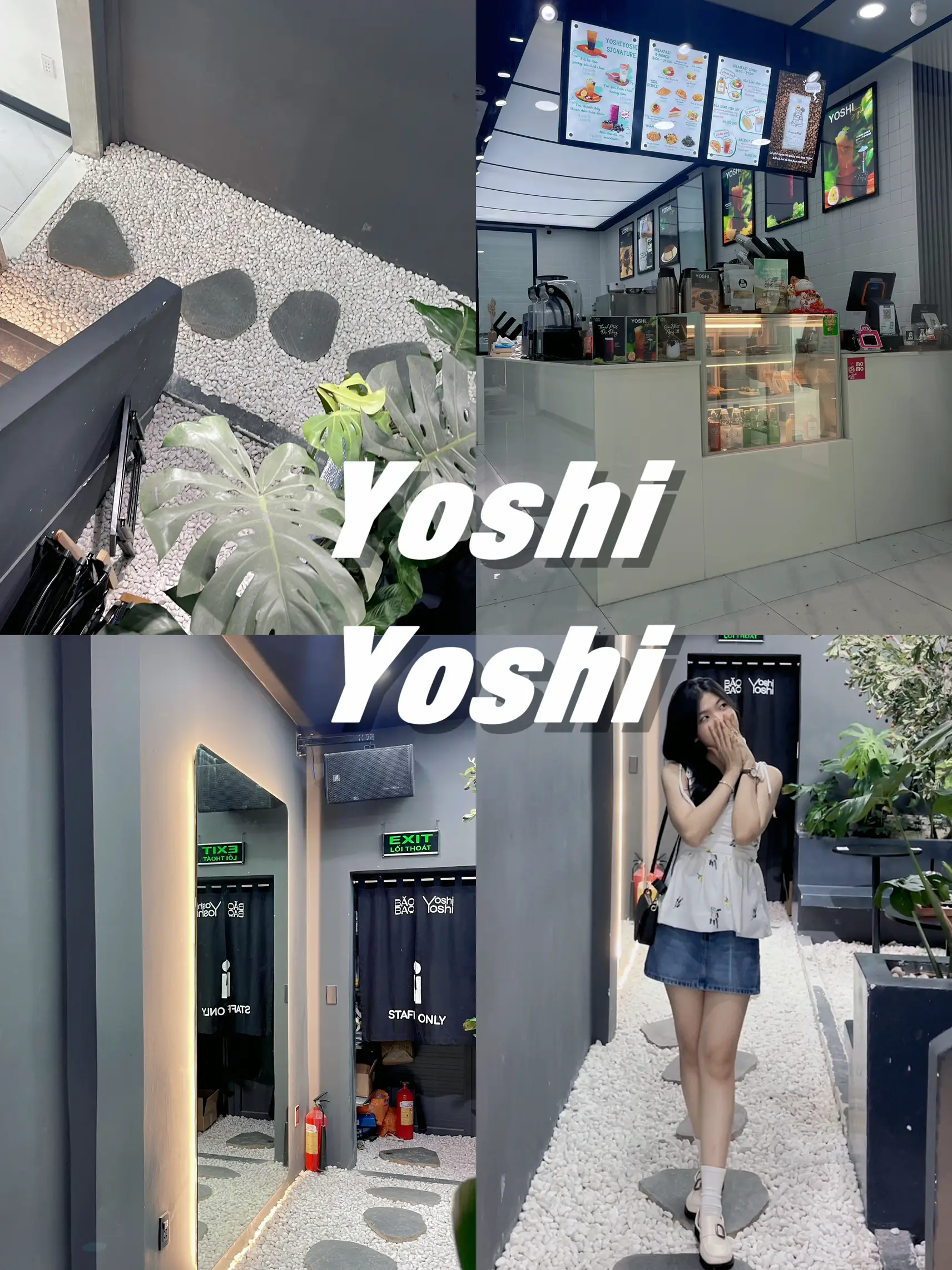 Yoshi Yoshi Coffee and Tea - Tìm kiếm trên Lemon8