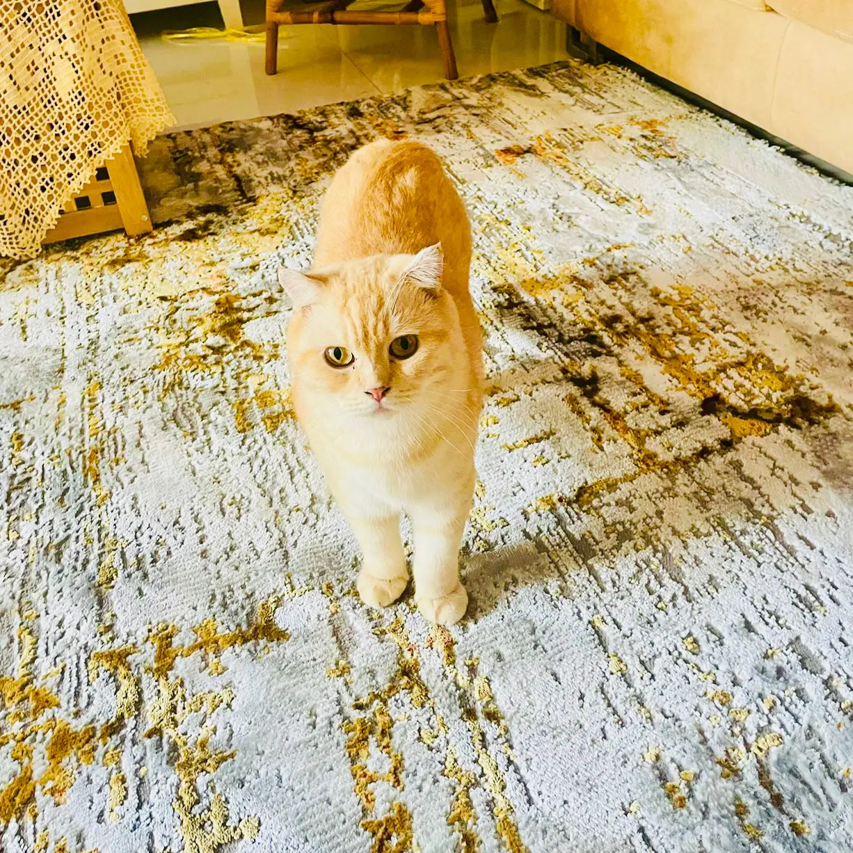 Sikimi Kacak | Galeri disiarkan oleh fabulousfarah | Lemon8