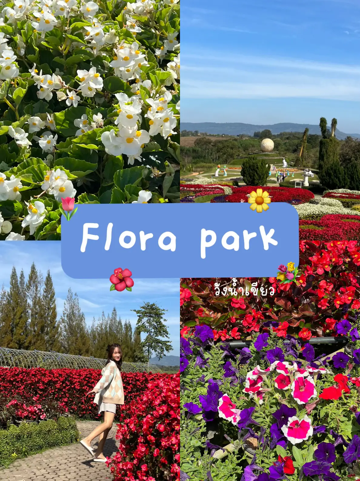 เดินสวนดอกไม้รับลมหนาวว ️ | แกลเลอรีที่โพสต์โดย korreviewbaang_ | Lemon8