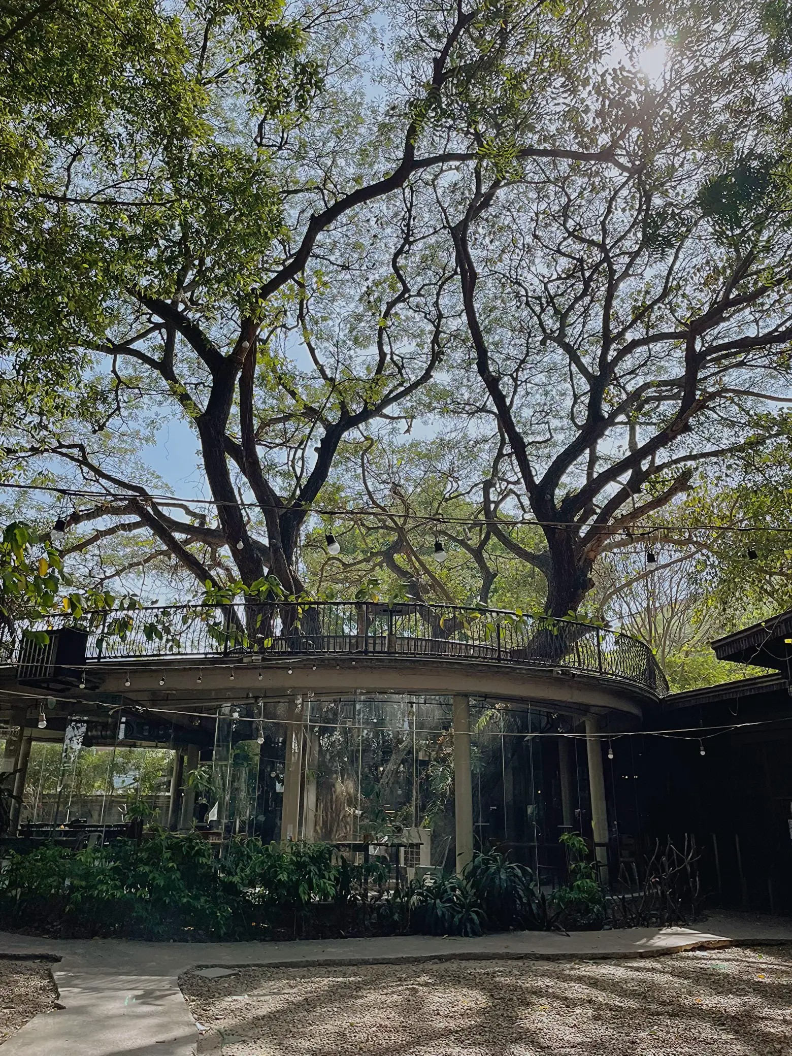 Namon Nomwan หน้ามนหนมหวาน บางแสน | แกลเลอรีที่โพสต์โดย Unchan | Lemon8