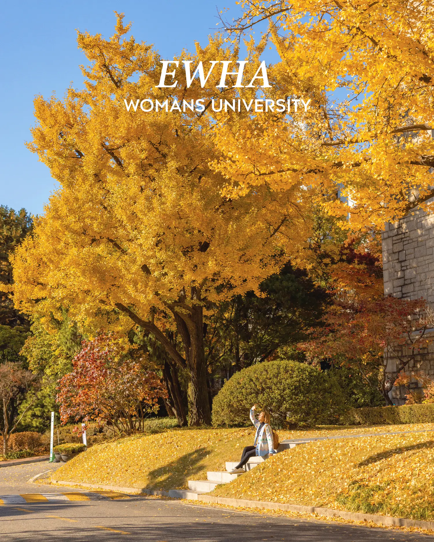 Ehwa Woman University จุดชมใบไม้เปลี่ยนสีสุดสวยในโซล 🇰🇷 | แกลเลอรีที่ ...