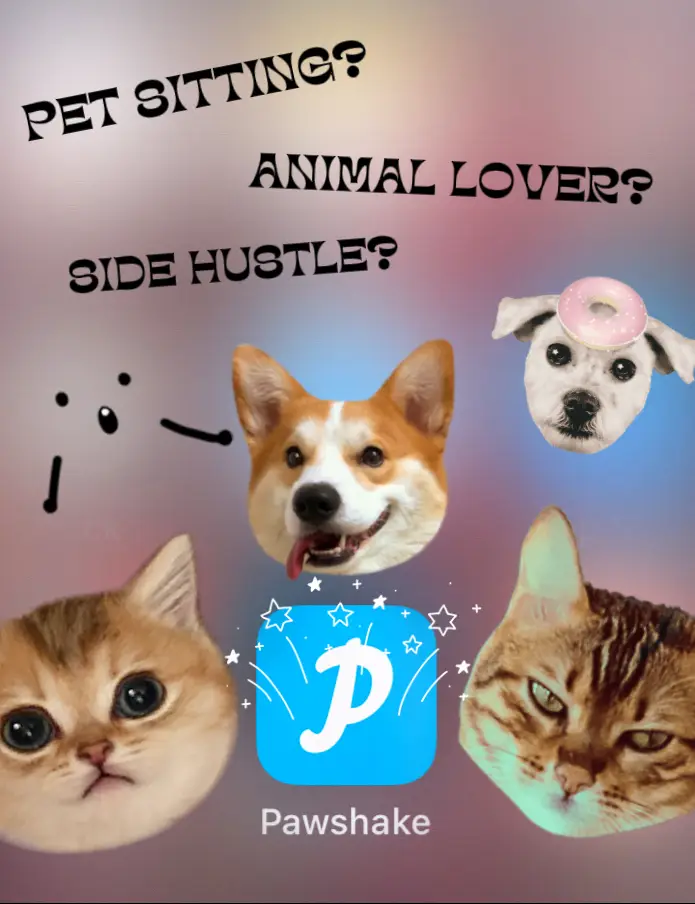 need a side hustle? love animals? CLICK ME | Gallery posted by 𝕛𝕟 ♥ ...