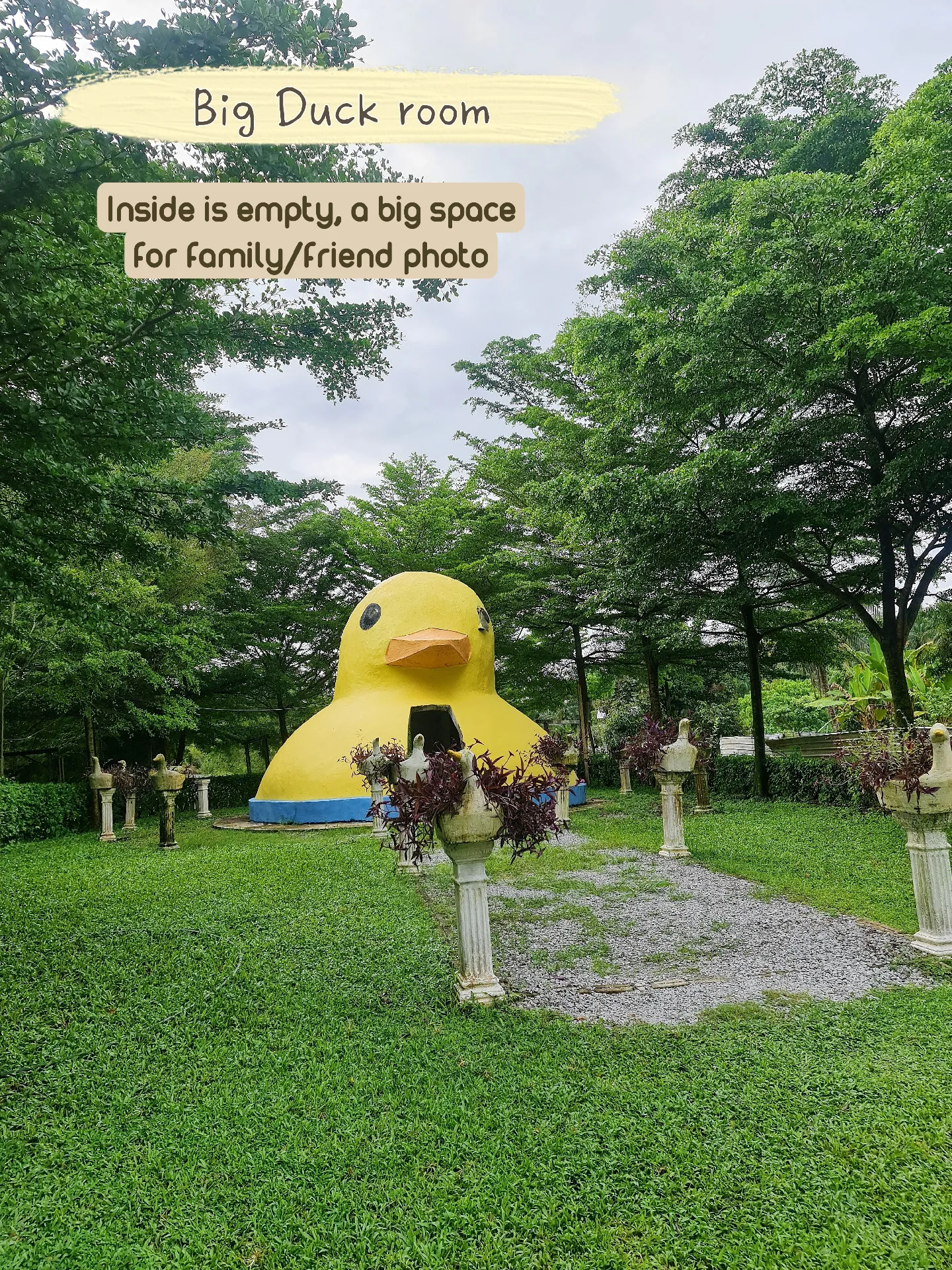 Big duck farm at Ipoh you should visit 🦆 | Galeri diposting oleh Ylinn ...