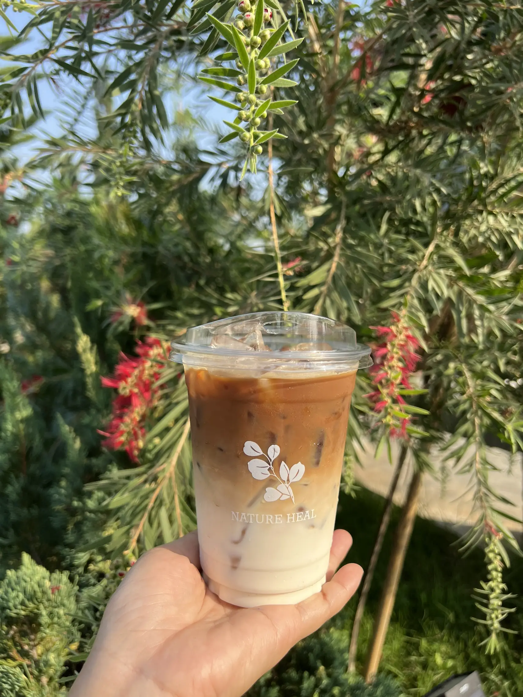 Nature Heal cafe | แกลเลอรีที่โพสต์โดย My stuff | Lemon8