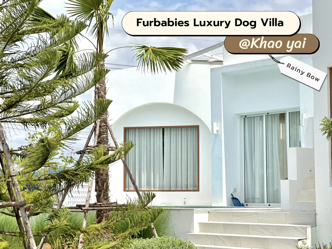 Ferbabies Luxury Dog Villa ที่พัก Pet Friendly เขาใหญ่ | แกลเลอรีที่ ...