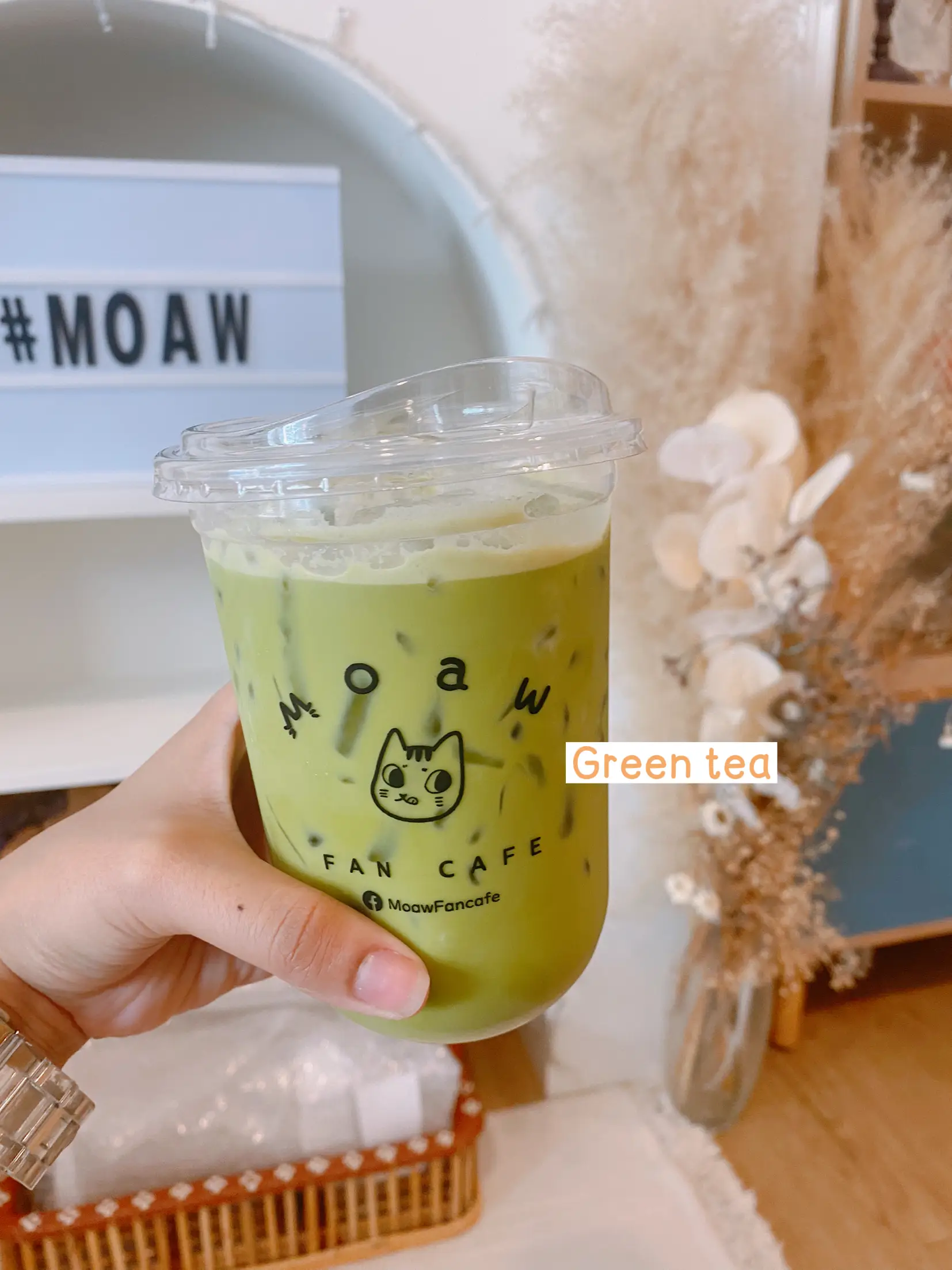 Moaw fan cafe🍰 | แกลเลอรีที่โพสต์โดย janpynx_ | Lemon8