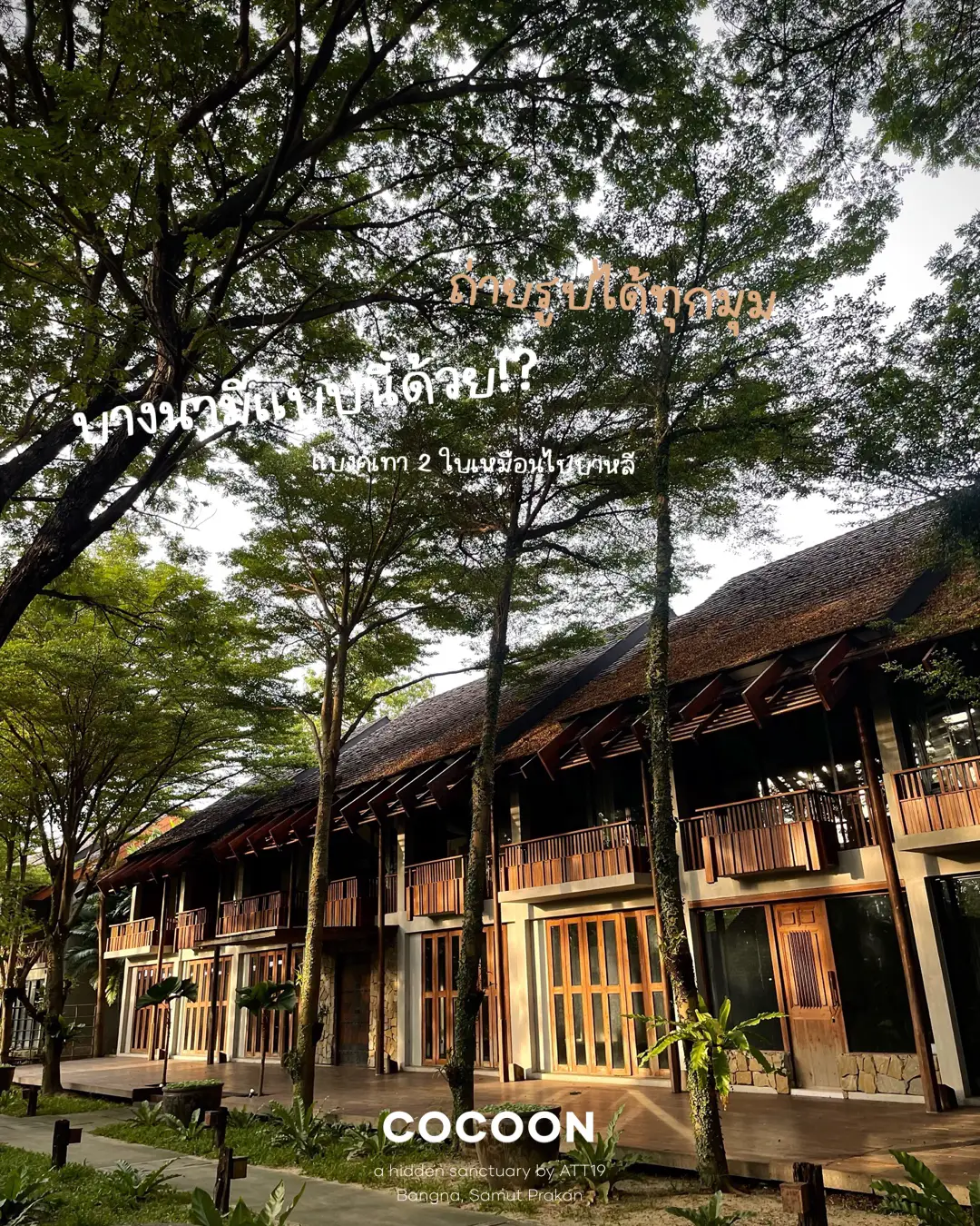 COCOON hidden gem ย่านบางนาที่เหมือนวาร์ปไปตจว! | แกลเลอรีที่โพสต์โดย ...