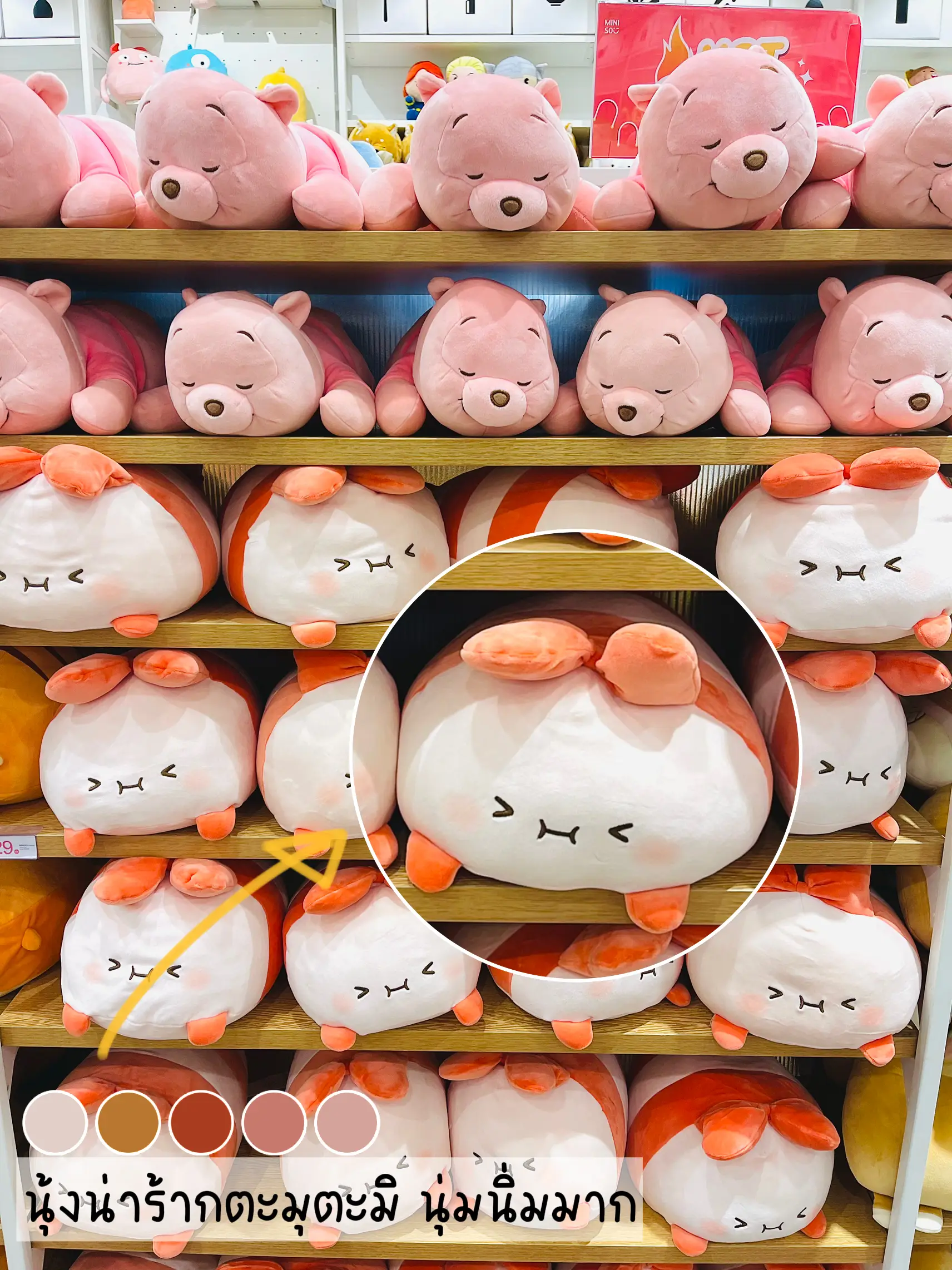 19 ไอเดียยอดนิยมเกี่ยวกับ Miniso ที่เดอะมอร์ท่าพระ ในปี 2024