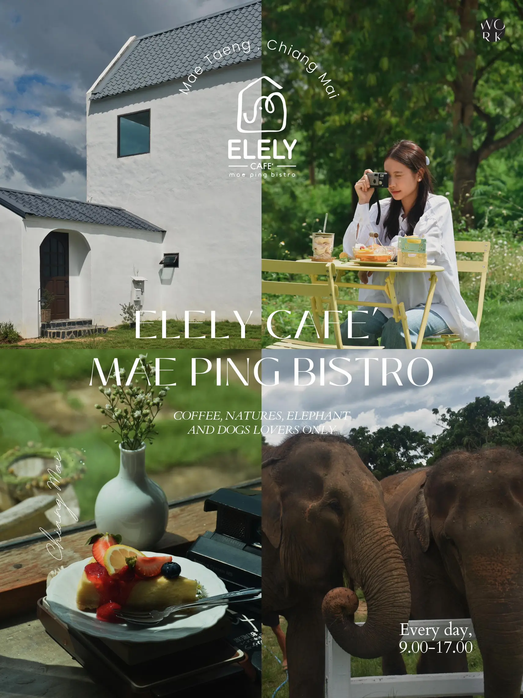 รวม 5 ค่าเฟ่เชียงใหม่ ไม่ไปไม่ได้แล้ววว🧤🧃 | แกลเลอรีที่โพสต์โดย ISAYWORK | Lemon8