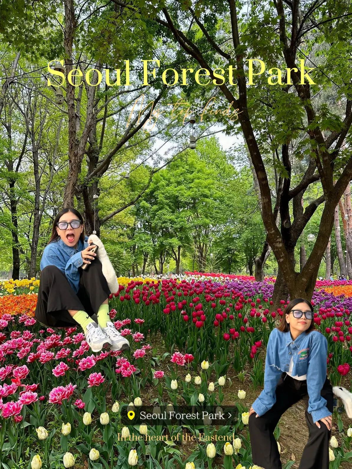 Seoul Forest Park🌷 | สวนใหม่ที่เกาหลี เกาใจสุดๆ💖🇰🇷 | แกลเลอรีที่โพสต์ ...