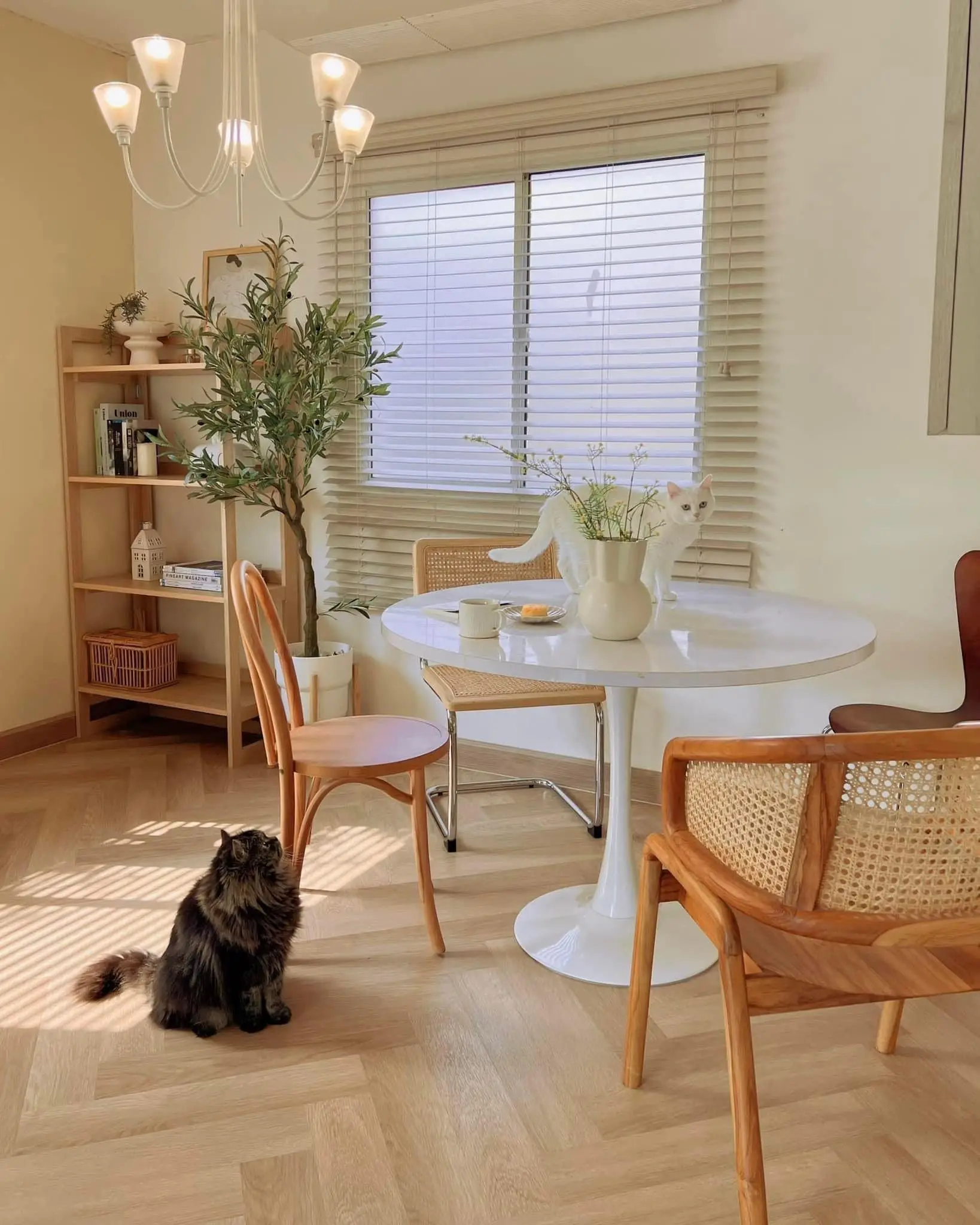 Dining Table Minimalist | Gallery posted by Salin Story🌸 | Lemon8