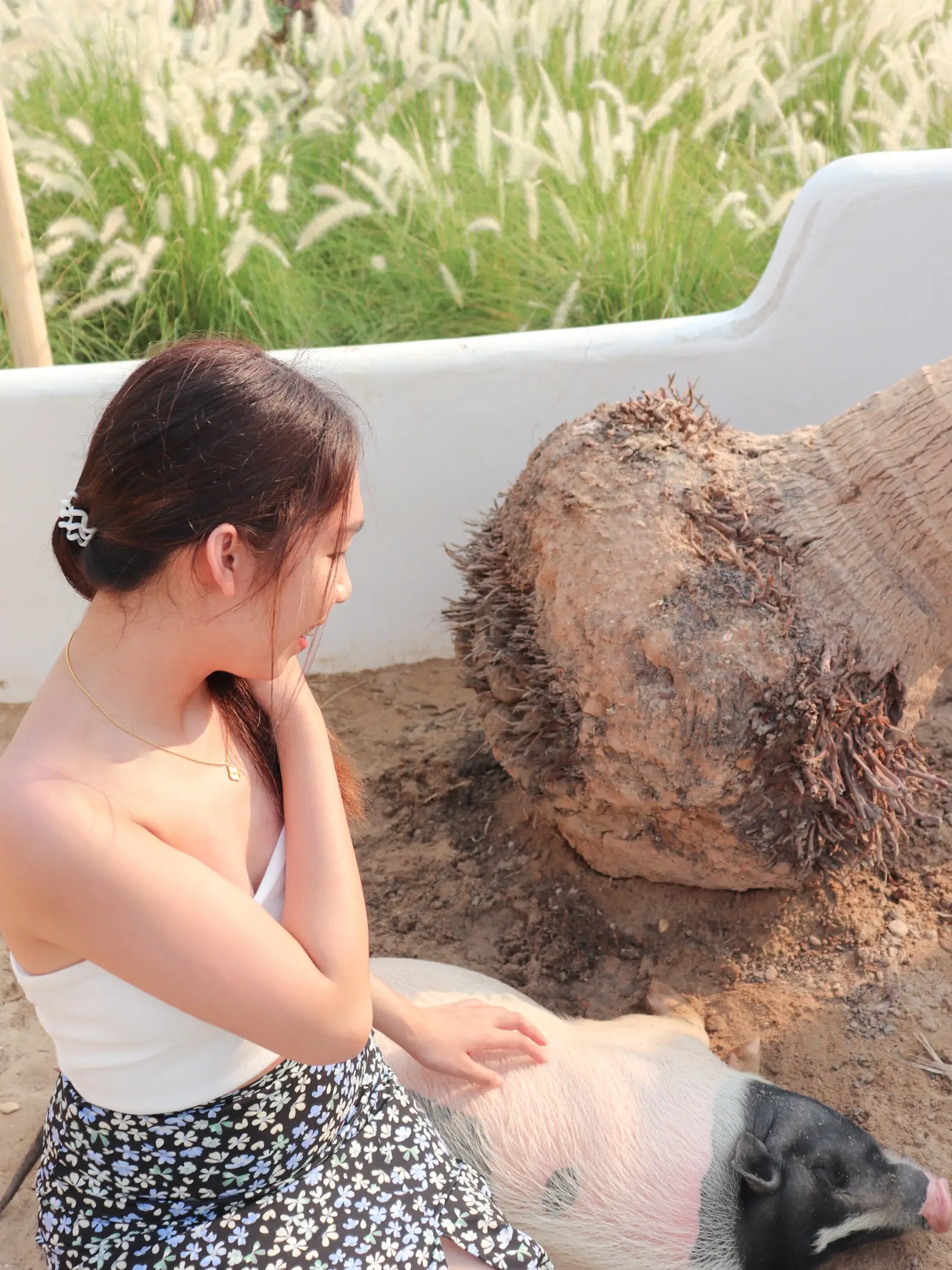 Kamari cafe🍵 คาเฟ่เกาะล้าน ปังมาก มีน้องหมูด้วยนะ🤍🐷 | แกลเลอรีที่โพสต์โดย Ning ning | Lemon8