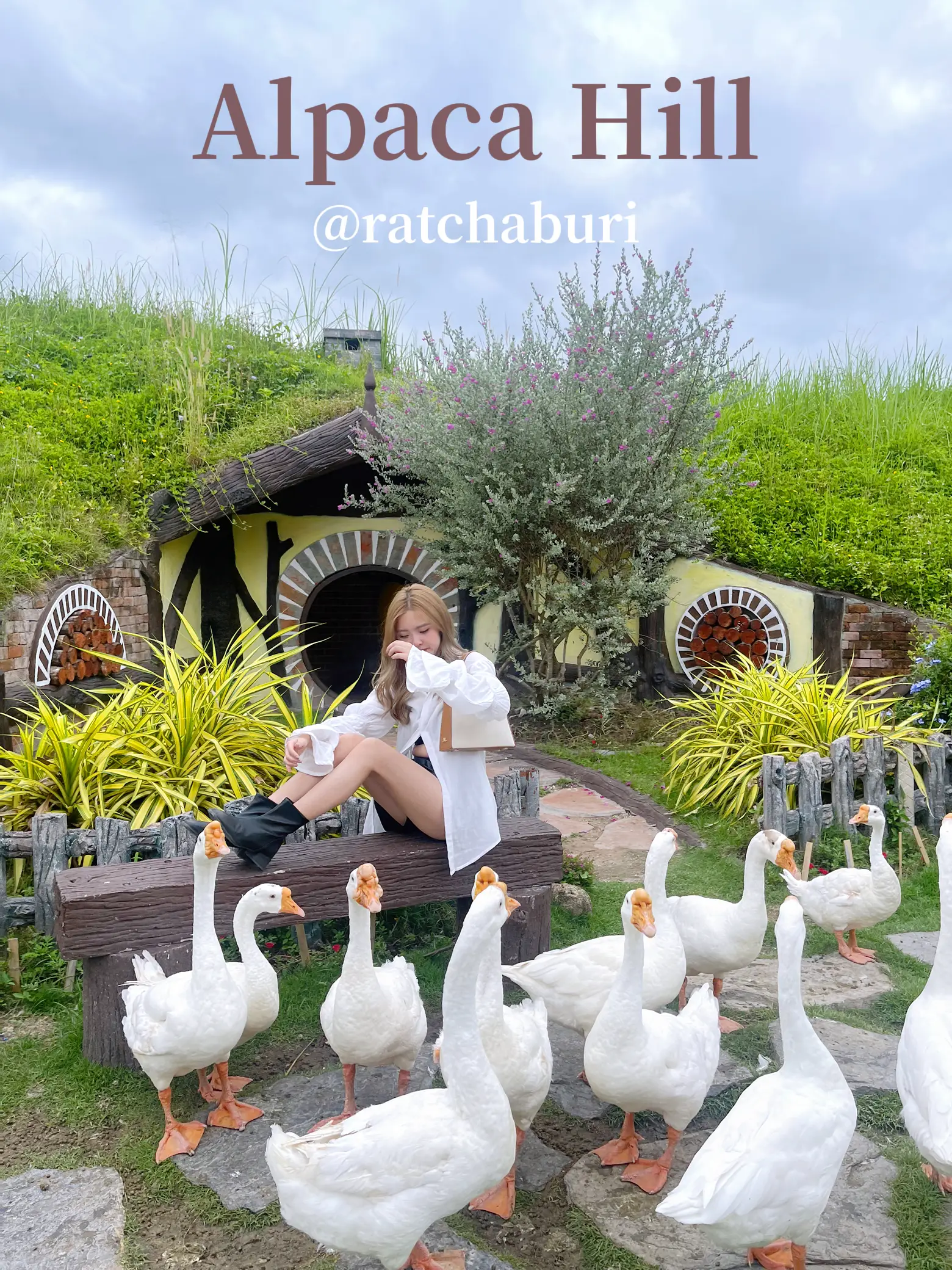 พาเที่ยว Alpaca hill @ราชบุรี กันน~~ | แกลเลอรีที่โพสต์โดย Ninkyun | Lemon8