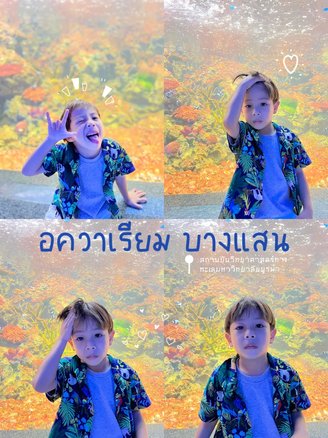 Aquarium. Some hundred thousand. | Gallery posted by Aim.trk | Lemon8