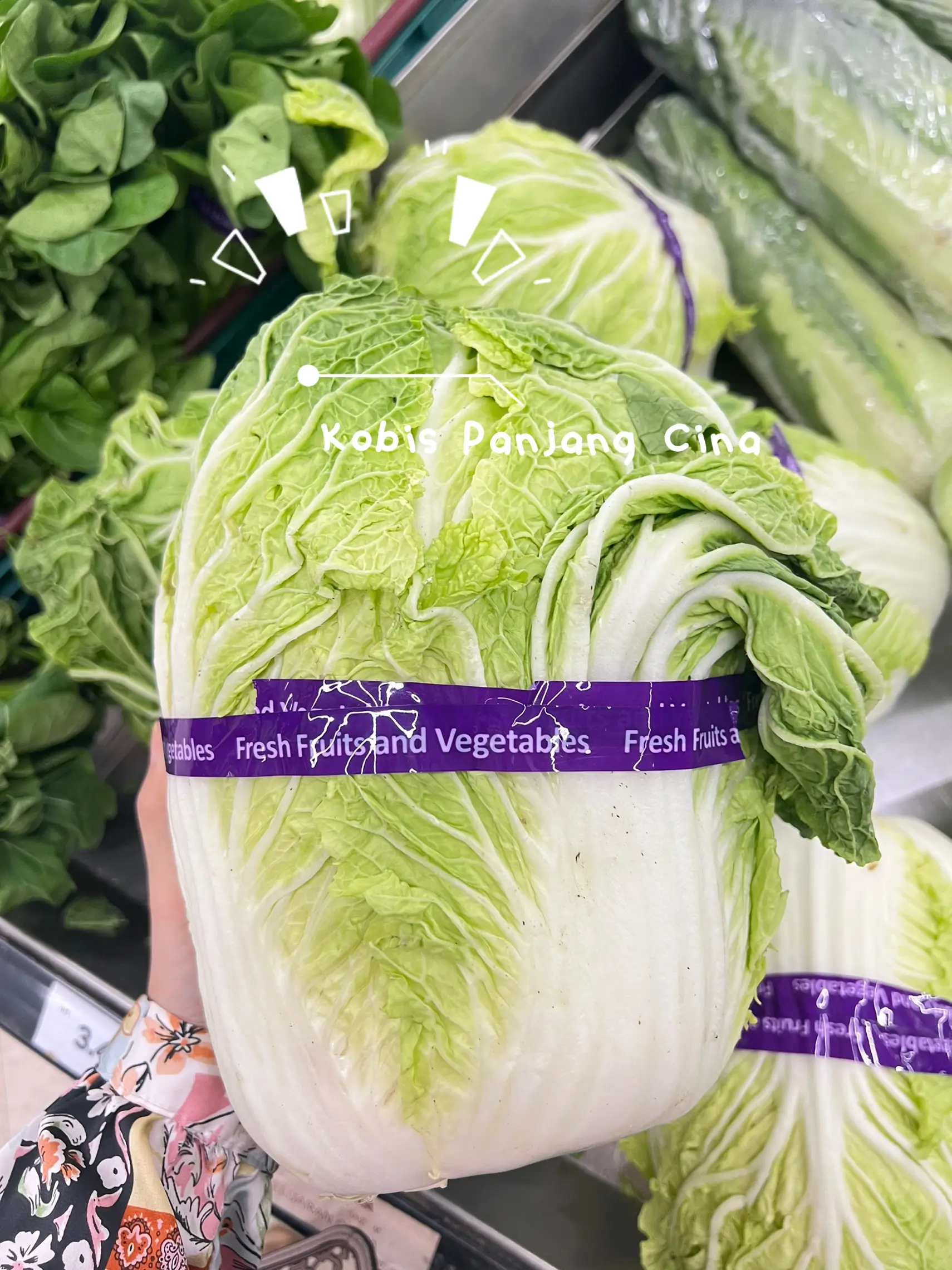 JOM KENAL SAYUR : JENIS-JENIS KOBIS 🥬 | Galeri diposting oleh ...