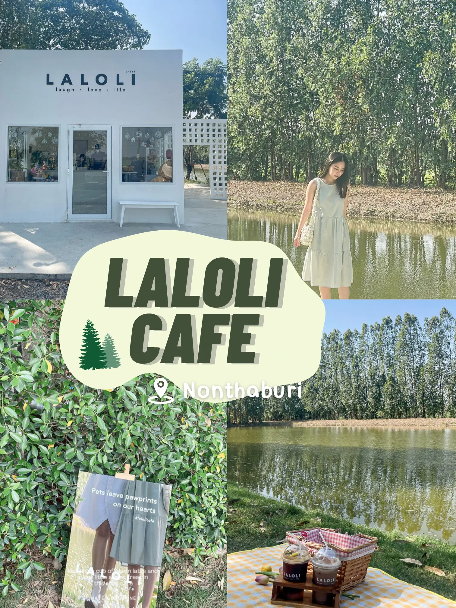 LALOLI CAFE คาเฟ่นนทบุรี 🌳🍃💫 | แกลเลอรีที่โพสต์โดย Tcpangg | Lemon8