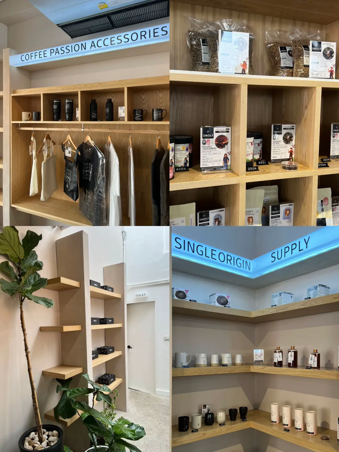 ☕️ Single Origin Store ท่าแพ คาเฟ่กาแฟไทย🍃 ชิคกรุบ | แกลเลอรีที่โพสต์โดย Vaews | Lemon8