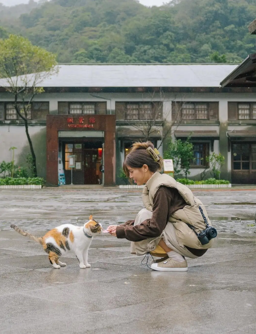 หมู่บ้านแมว ‘Houtong Cat Village’ #ไต้หวัน 🐈🇹🇼 | Gallery posted by lbzero | Lemon8