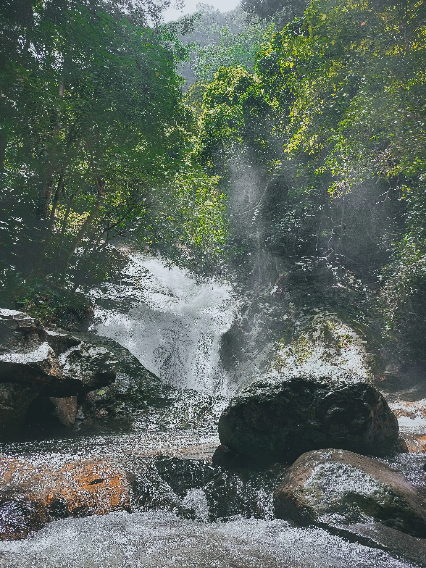 Trekking in the rain, Grog Falls | Gallery posted by Pong Patchara | Lemon8