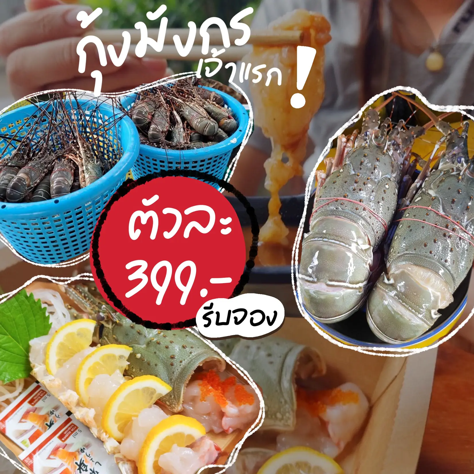 จุ้งซาซิมิ ตัวใสๆเนื้อเด้งๆ🦞🦞 | แกลเลอรีที่โพสต์โดย Khun Mon | Lemon8