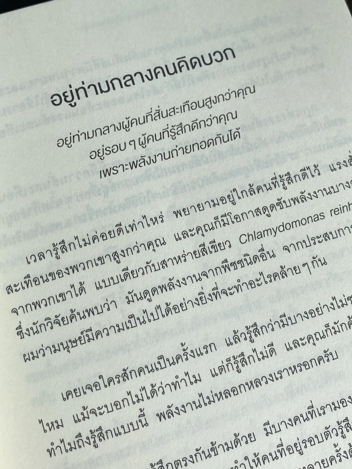 Waxหนังสือ การค้นหาใน Lemon8