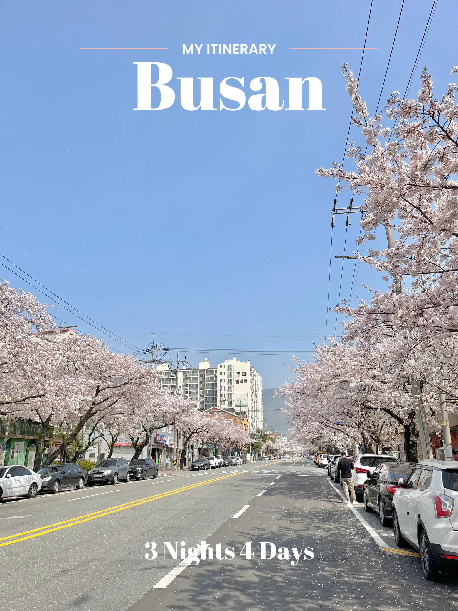 เที่ยว Busan 3 วัน 2 คืน หน้าซากุระ🌸 รวมจุดเช็คอิน | แกลเลอรีที่โพสต์ ...