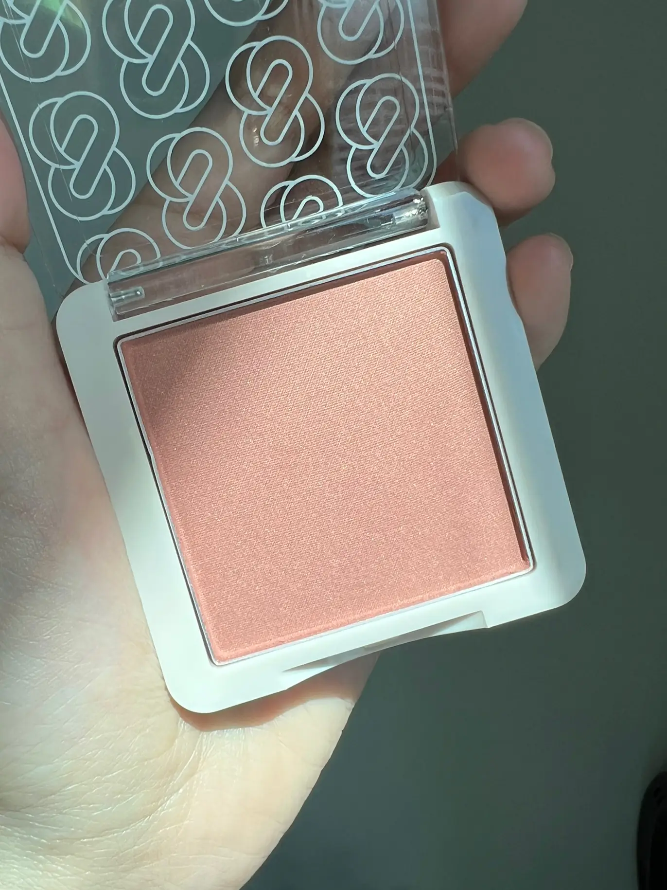 Sasi Girls can shine blush on | แกลเลอรีที่โพสต์โดย yuk_yuki | Lemon8