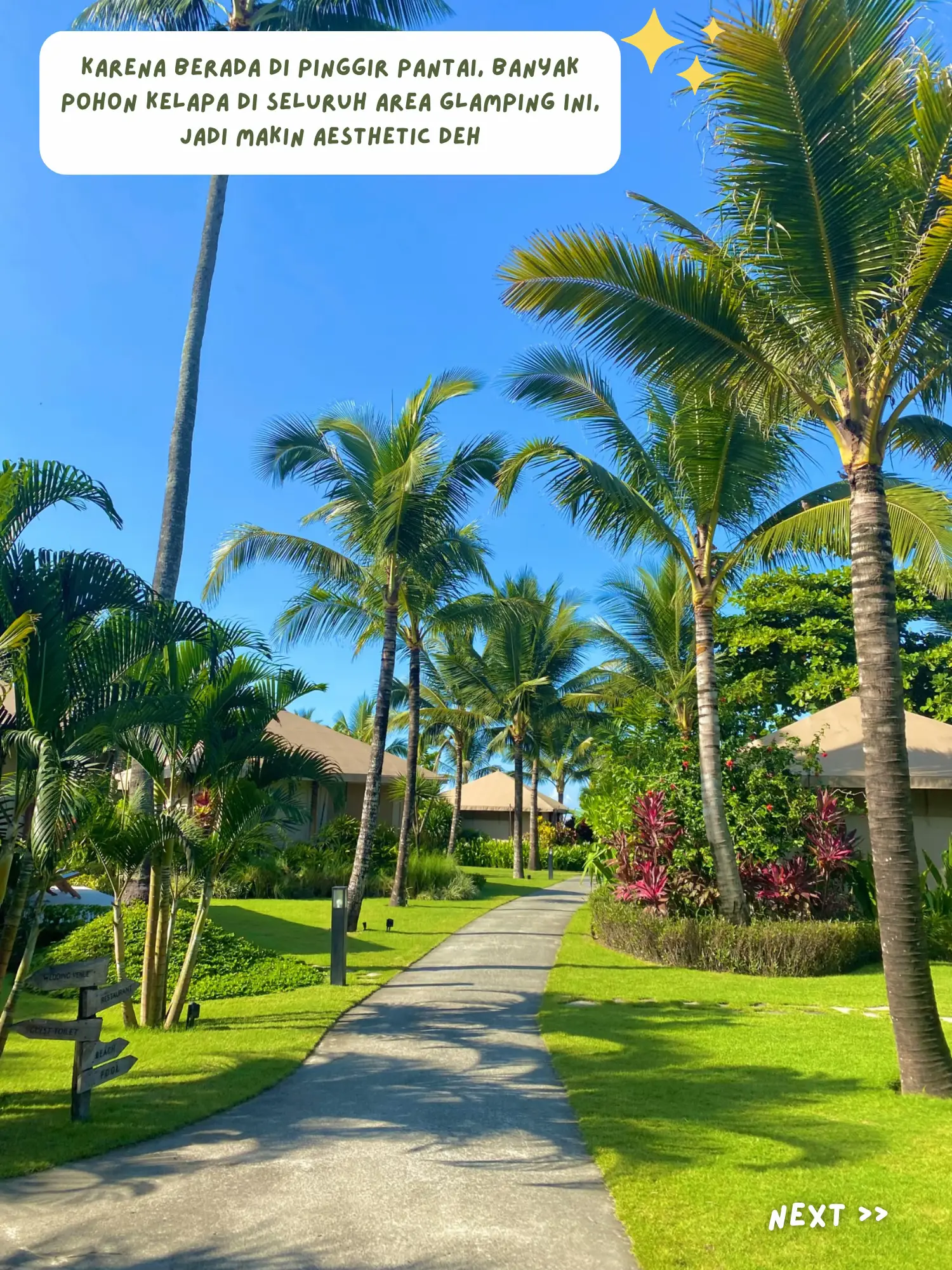 Rekomendasi Glamping dengan Infinity Pool Cantik | Galeri diposting ...