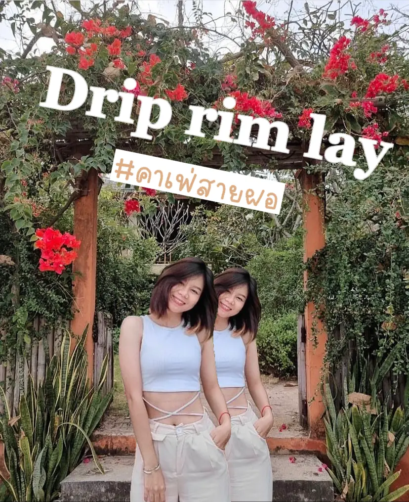 Drip rim lay (คาเฟ่สายฝอ) | แกลเลอรีที่โพสต์โดย Mamod🌳 | Lemon8