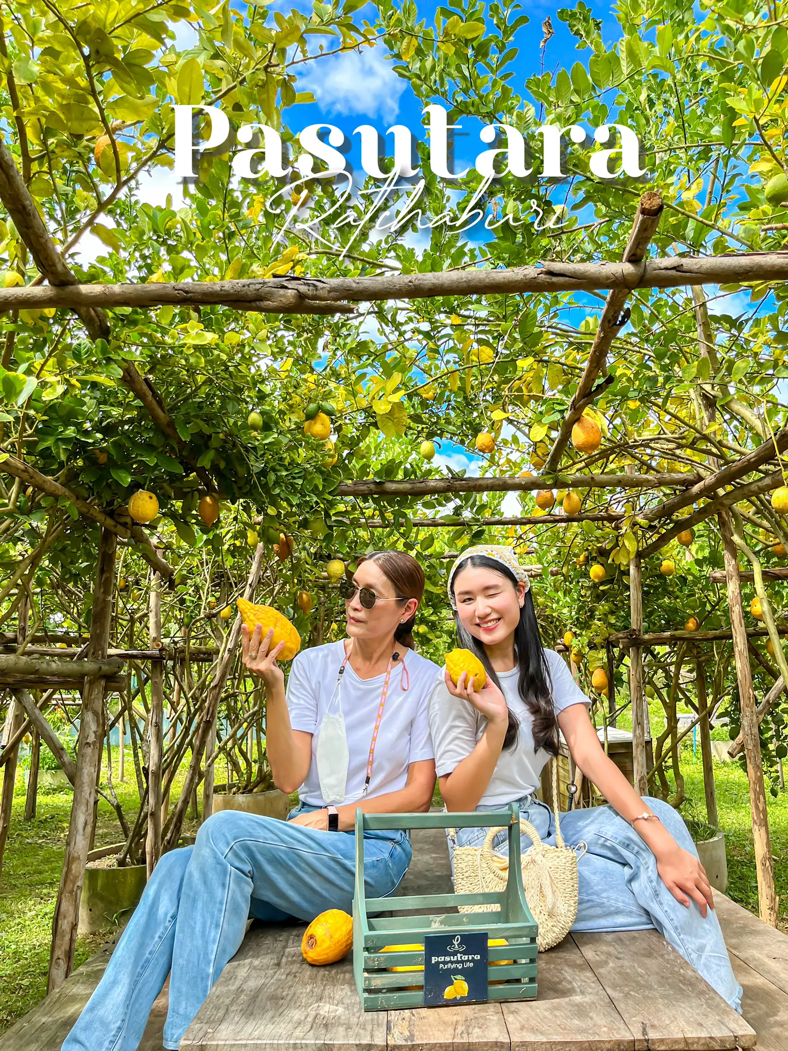 #พาแม่ไป 𝐏𝐚𝐬𝐮𝐭𝐚𝐫𝐚 ฟาร์มเลมอนออร์แกนิคใกล้กรุงเทพ🍋 | แกลเลอรีที่โพสต์โดย 𝑎𝑚𝑦𝑛𝑎𝑝𝑎𝑠𝑜𝑟𝑛 | Lemon8