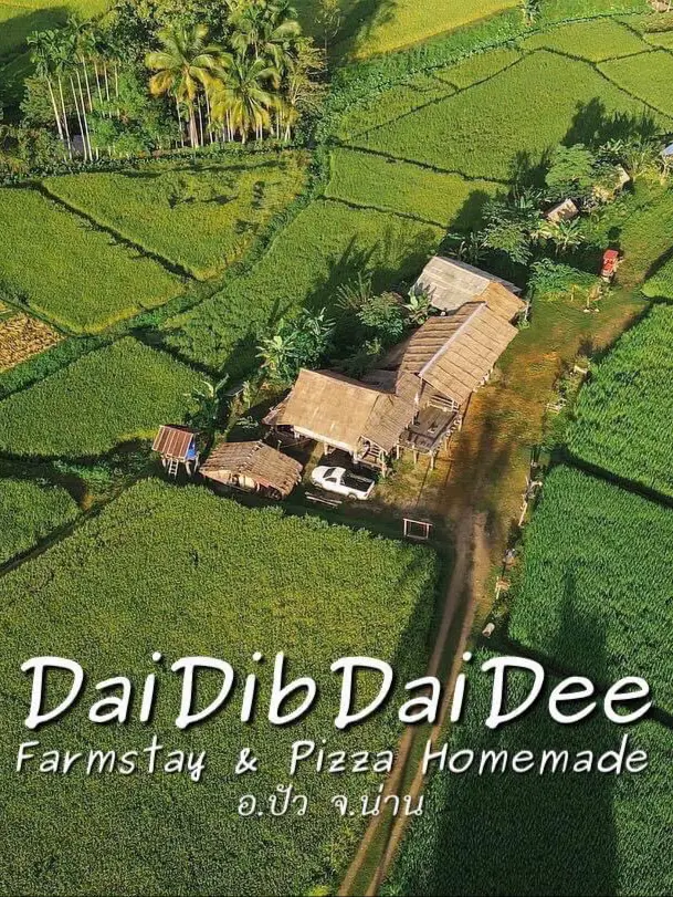 20 ไอเดียยอดนิยมเกี่ยวกับ โฮมสเตย์อุบลธรรมชาติทุ่งนา ในปี 2024