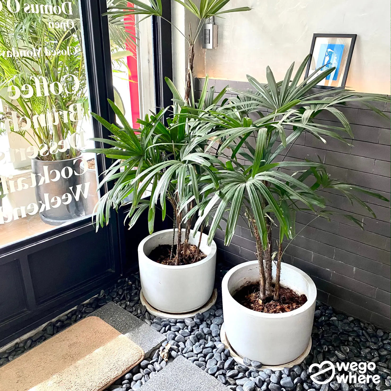 📍Domus O’Corner 🍝 | แกลเลอรีที่โพสต์โดย WeGoWhere | Lemon8