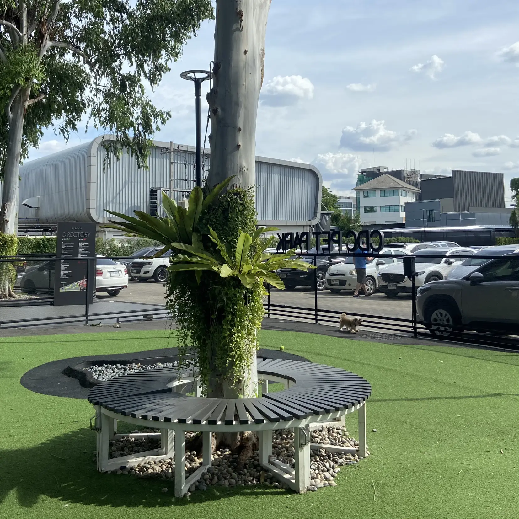 CDC Pet Park 💖🐾 พื้นที่ฟรีพาน้องหมาวิ่งเล่น | แกลเลอรีที่โพสต์โดย Rasarinrosielyn | Lemon8