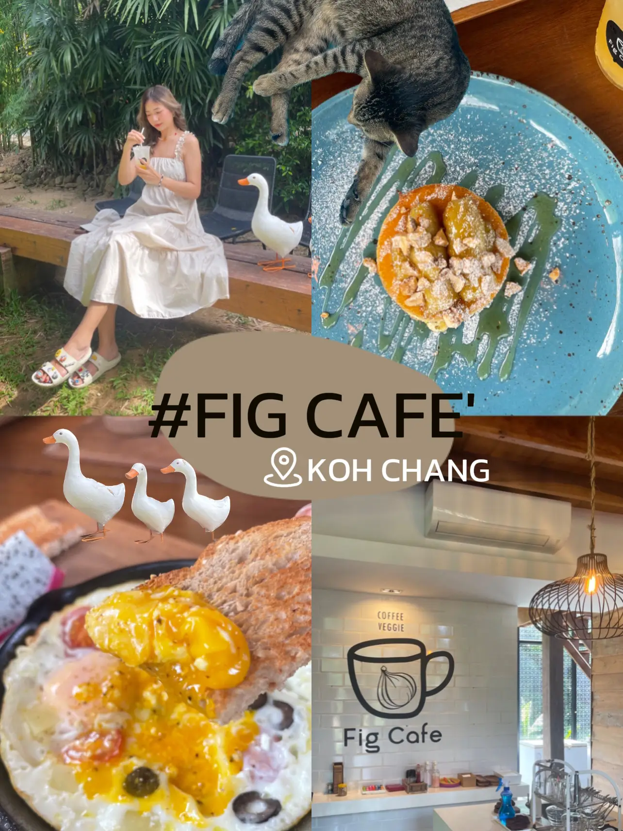 FIG CAFE เกาะช้าง | แกลเลอรีที่โพสต์โดย Nichanany 👻 | Lemon8