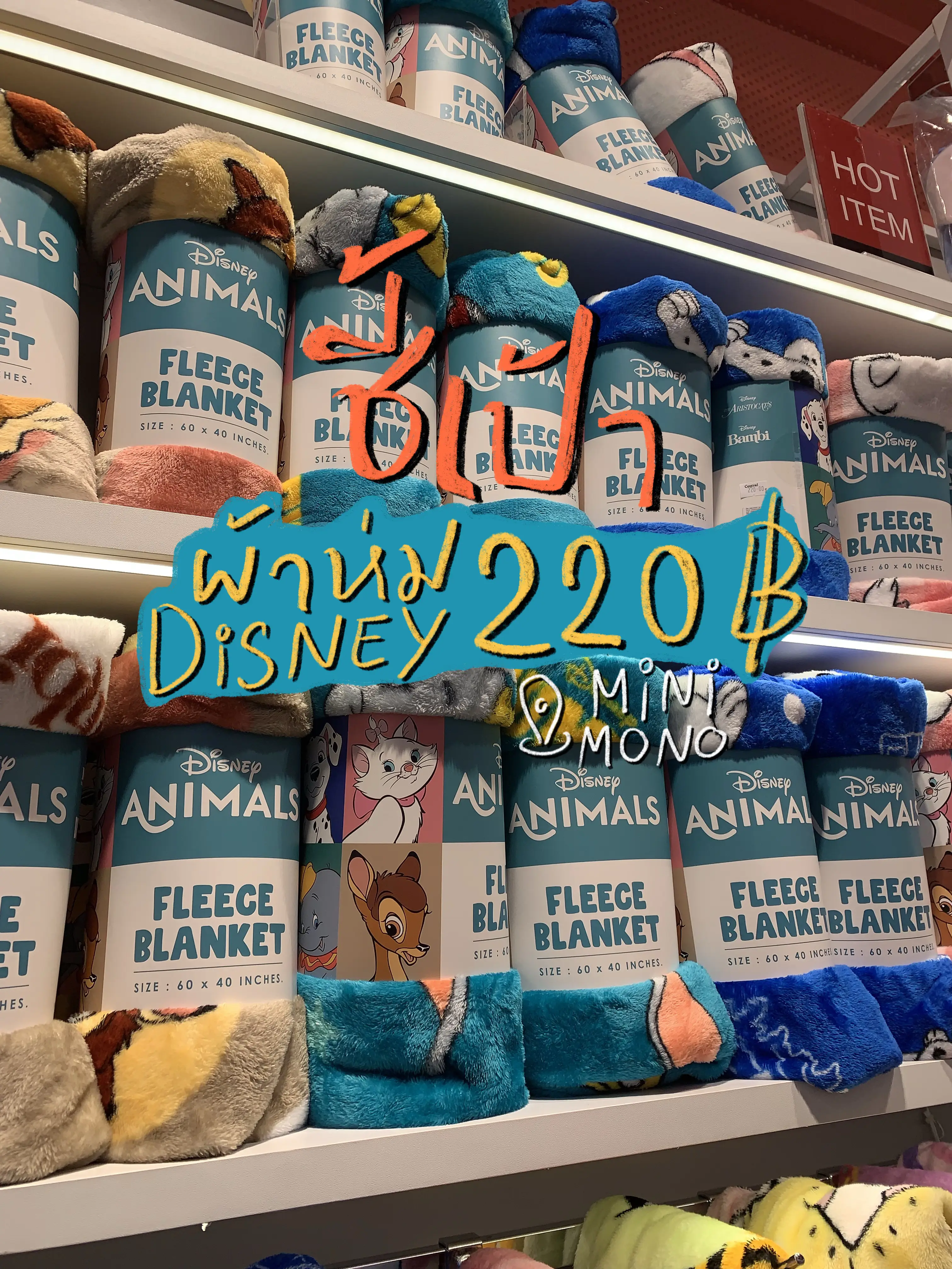 🧣ผ้าห่มลายDisneyผืนละ220฿ ที่MINI MONO | แกลเลอรีที่โพสต์โดย cartoonsmt ...