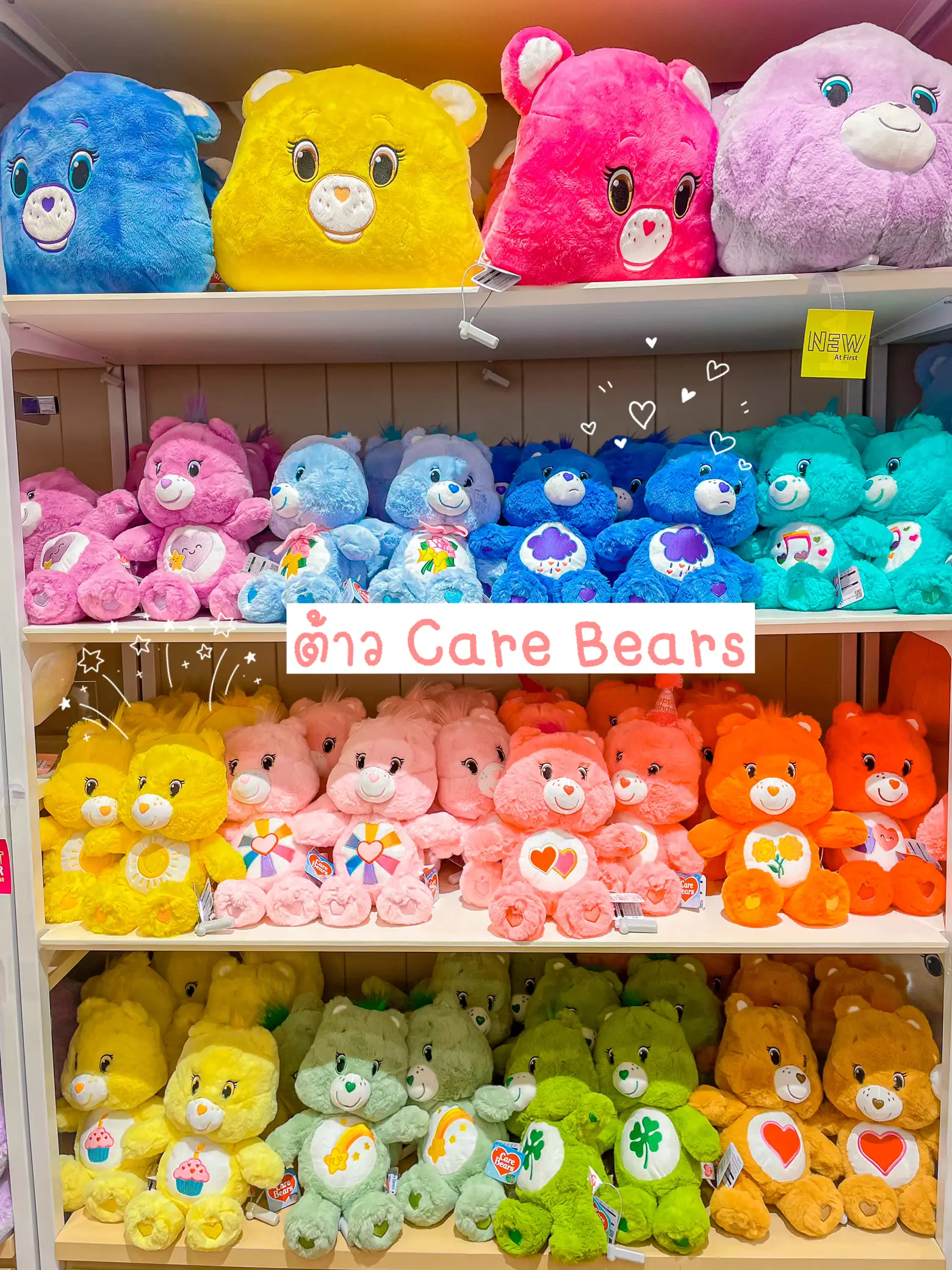 20 ไอเดียยอดนิยมเกี่ยวกับ ตุ๊กตาแคร์แบร์ เซ็นทรัลเวสเกต ในปี 2024