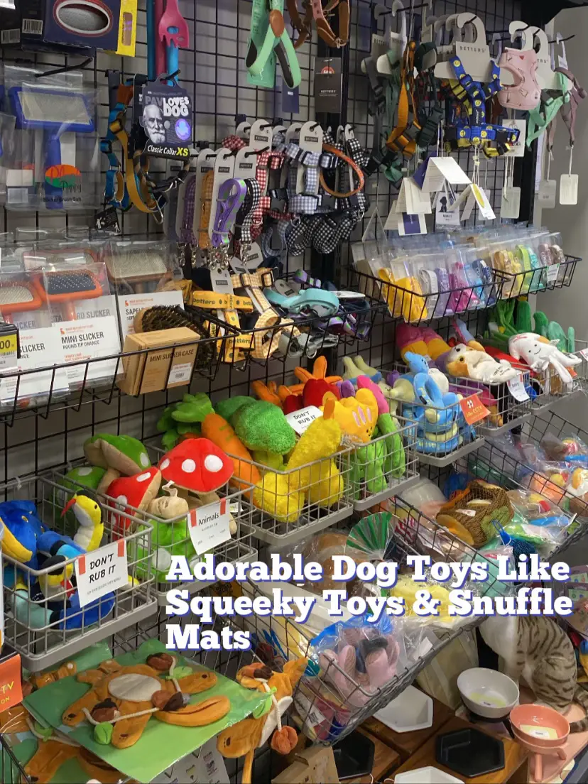 #SEOUL | The Cutest Pet Store To Spoil Your Pets 🐶 | Gallery posted by ...