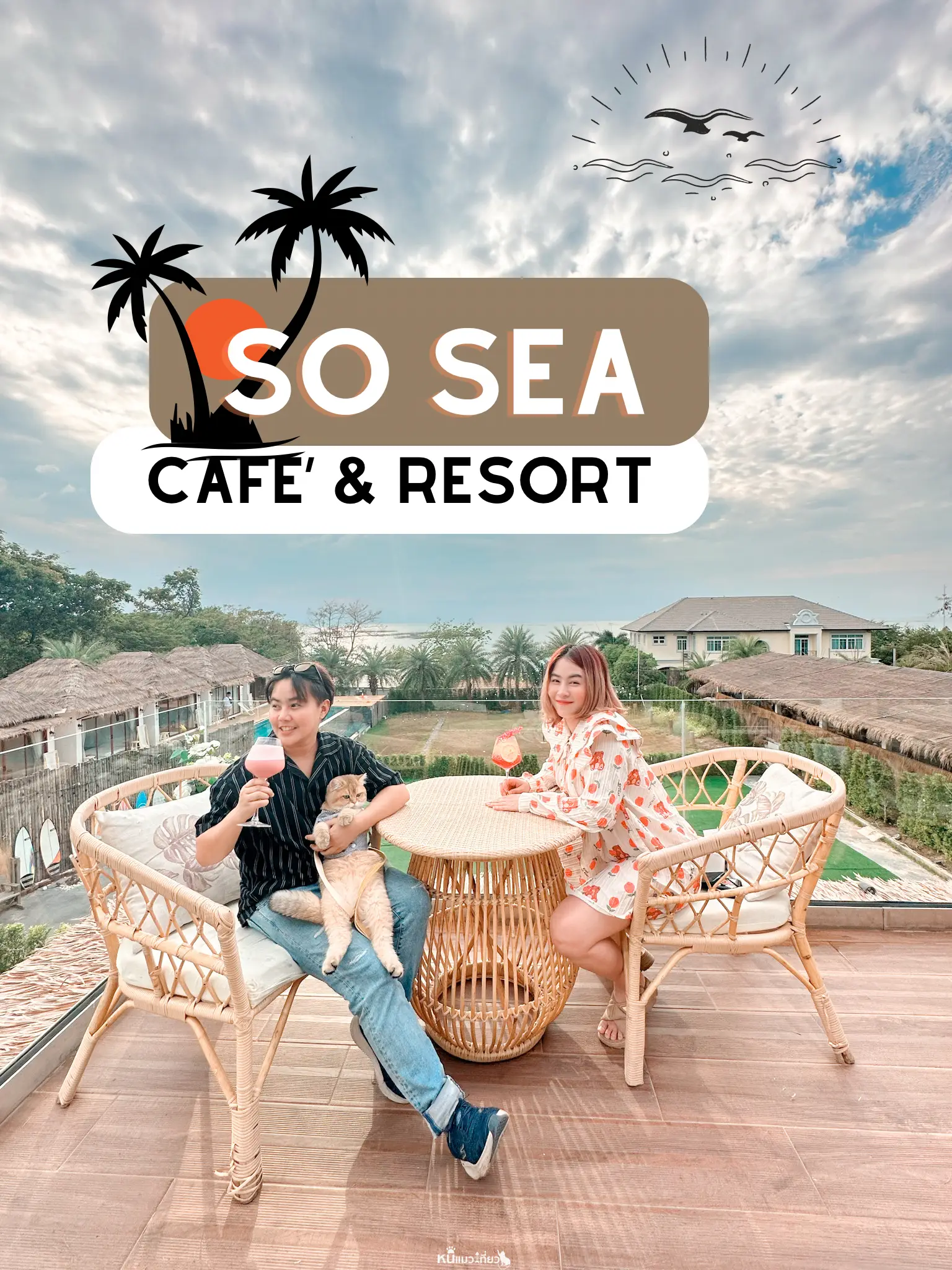 So Sea Cafe คาเฟ่พาสัตว์เลี้ยงเข้าได้ด้วย | แกลเลอรีที่โพสต์โดย ทาสแมว ...