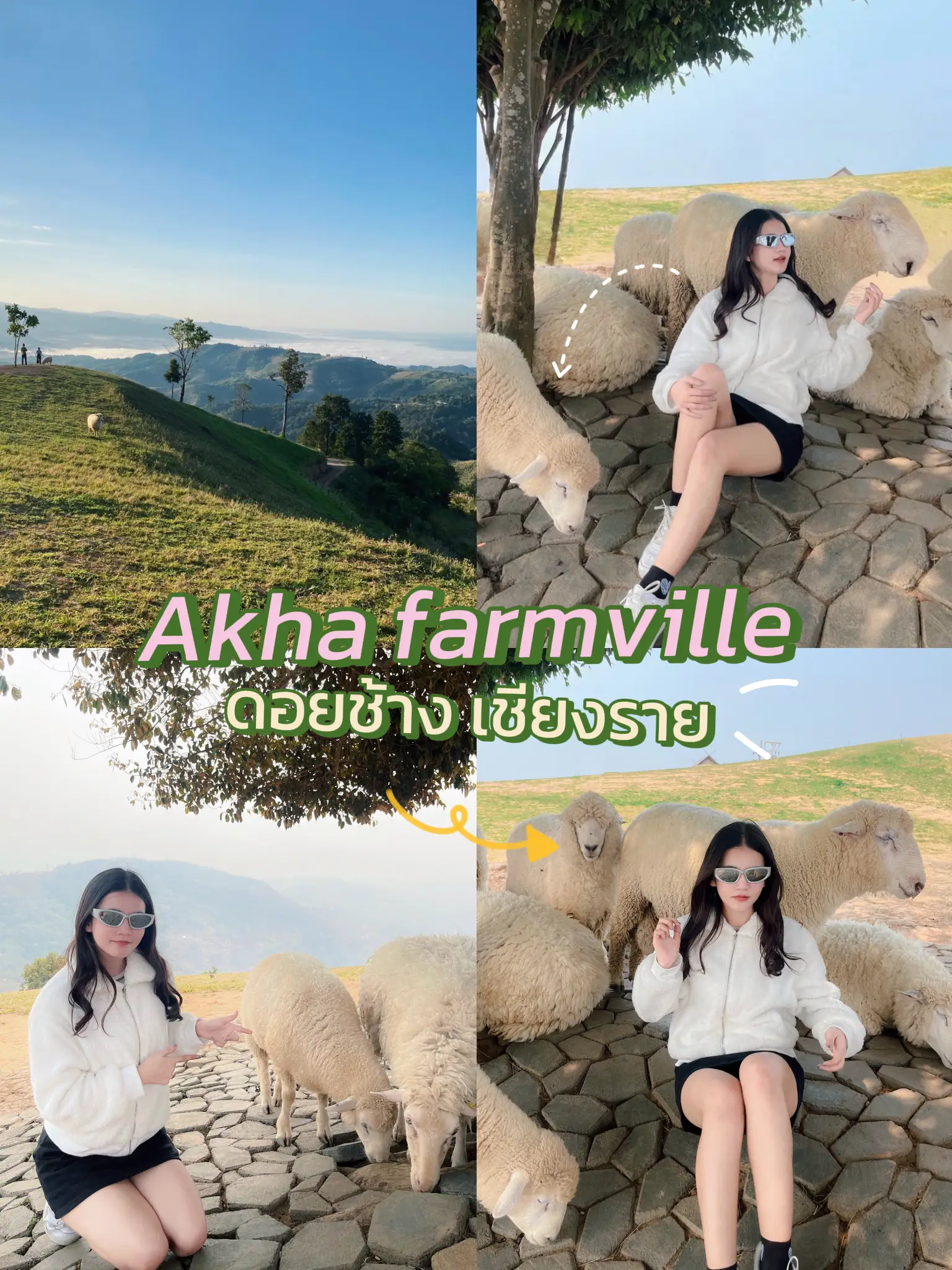 คาเฟ่ธรรมชาติ แนะนำมากๆ 💐 | แกลเลอรีที่โพสต์โดย Mp | Lemon8