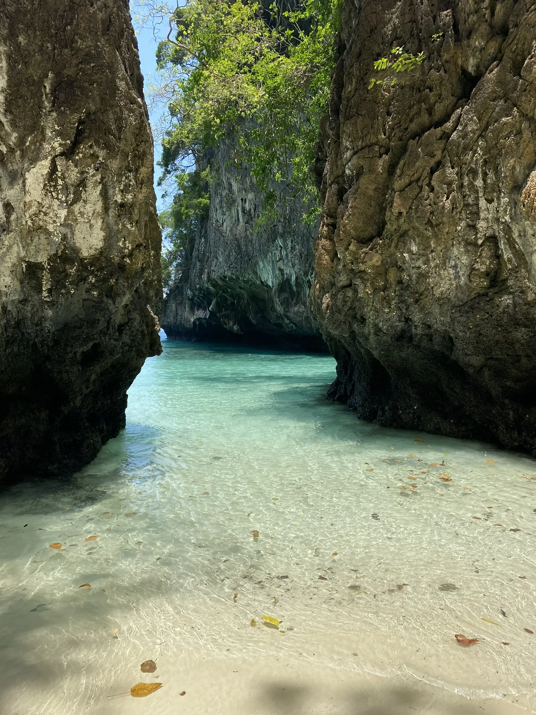The secret corner of Phi Phi Island. The water is very clear!🐠🏝️🏖️ | Gallery posted by noonnong ...