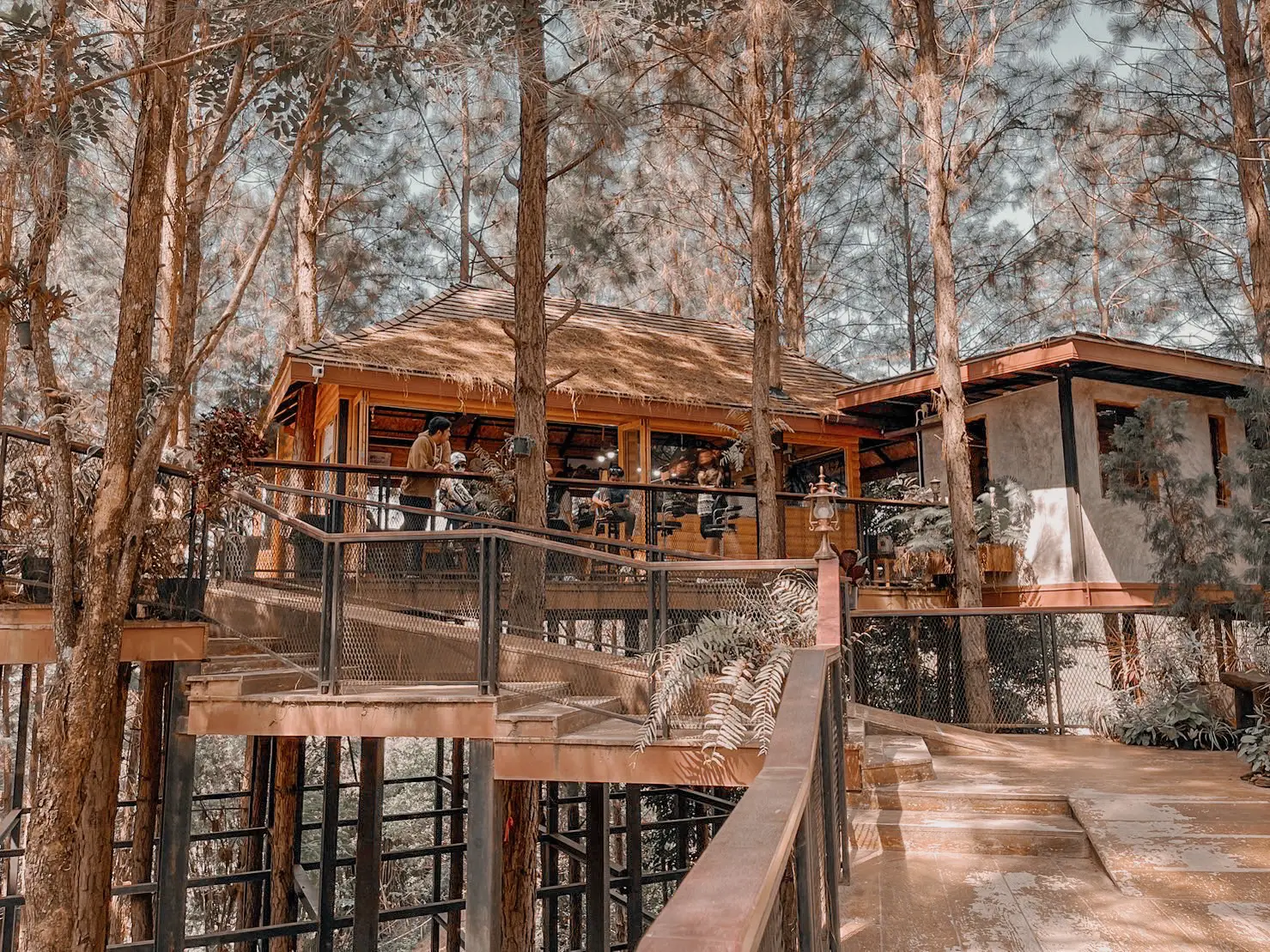 ไปเที่ยวเขาค้อต้องไม่พลาดคาเฟ่ Cedar Cafe’🍵 | แกลเลอรีที่โพสต์โดย ...