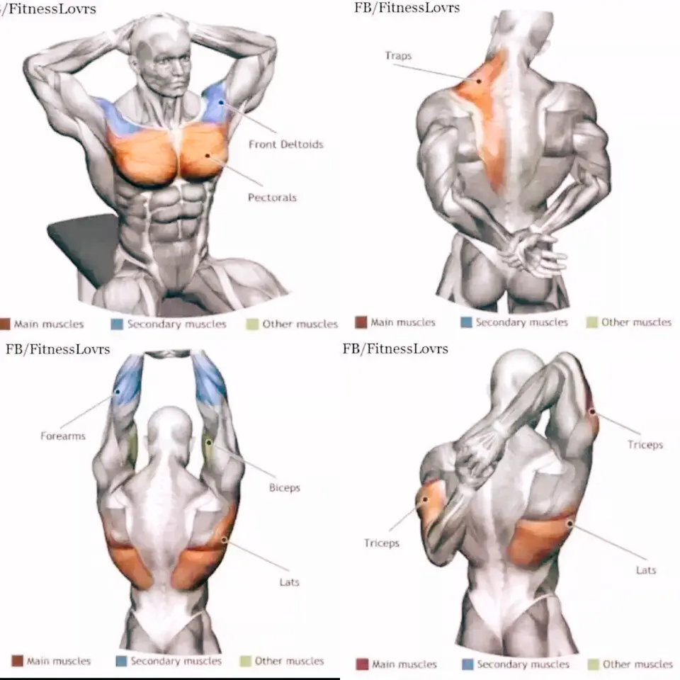 PENTINGNYA PEMANASAN SEBELUM OLAHRAGA 😍 | Galeri diposting oleh work.out | Lemon8