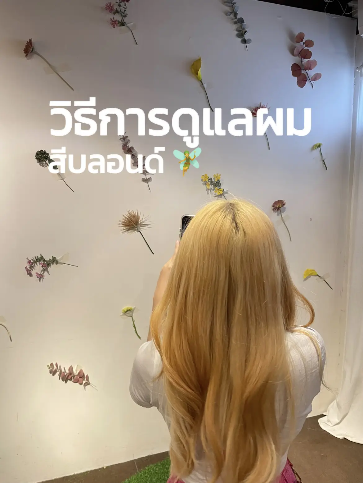 วิธีการดูแลผมสีบลอนด์ 🧚🫶 | แกลเลอรีที่โพสต์โดย let’s shop | Lemon8