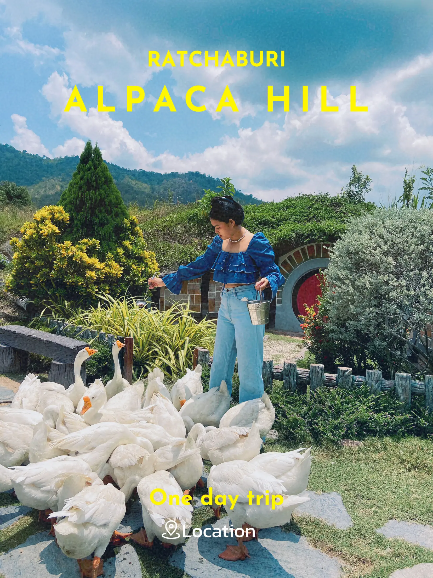 ALPACA HILL | แกลเลอรีที่โพสต์โดย Honey Bae | Lemon8