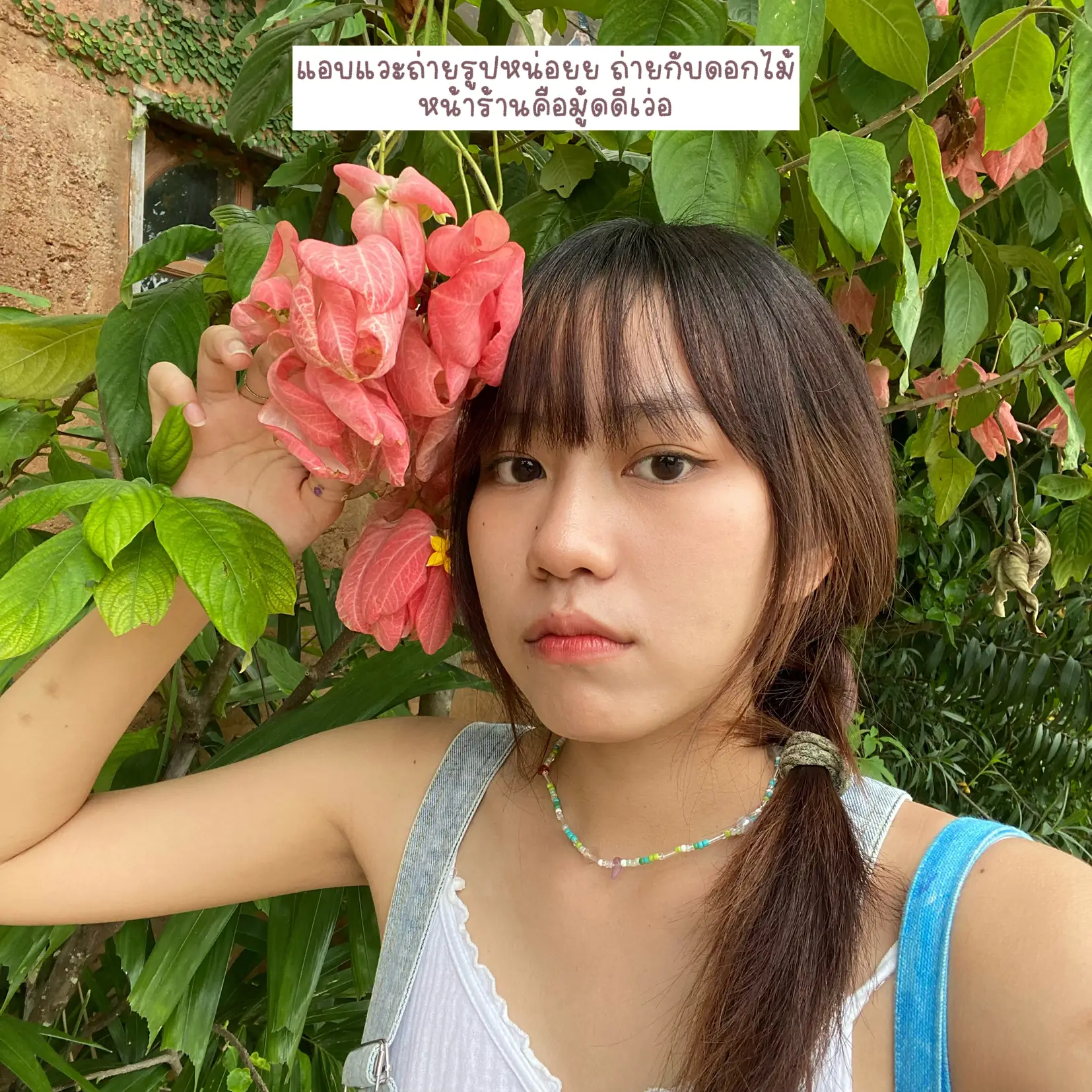 Pranberry field คาเฟ่สุดชิลล์ ฟีลสวนหลังบ้านในยุโรปป 🛖🌲🍃🌺 | แกลเลอรีที่ ...