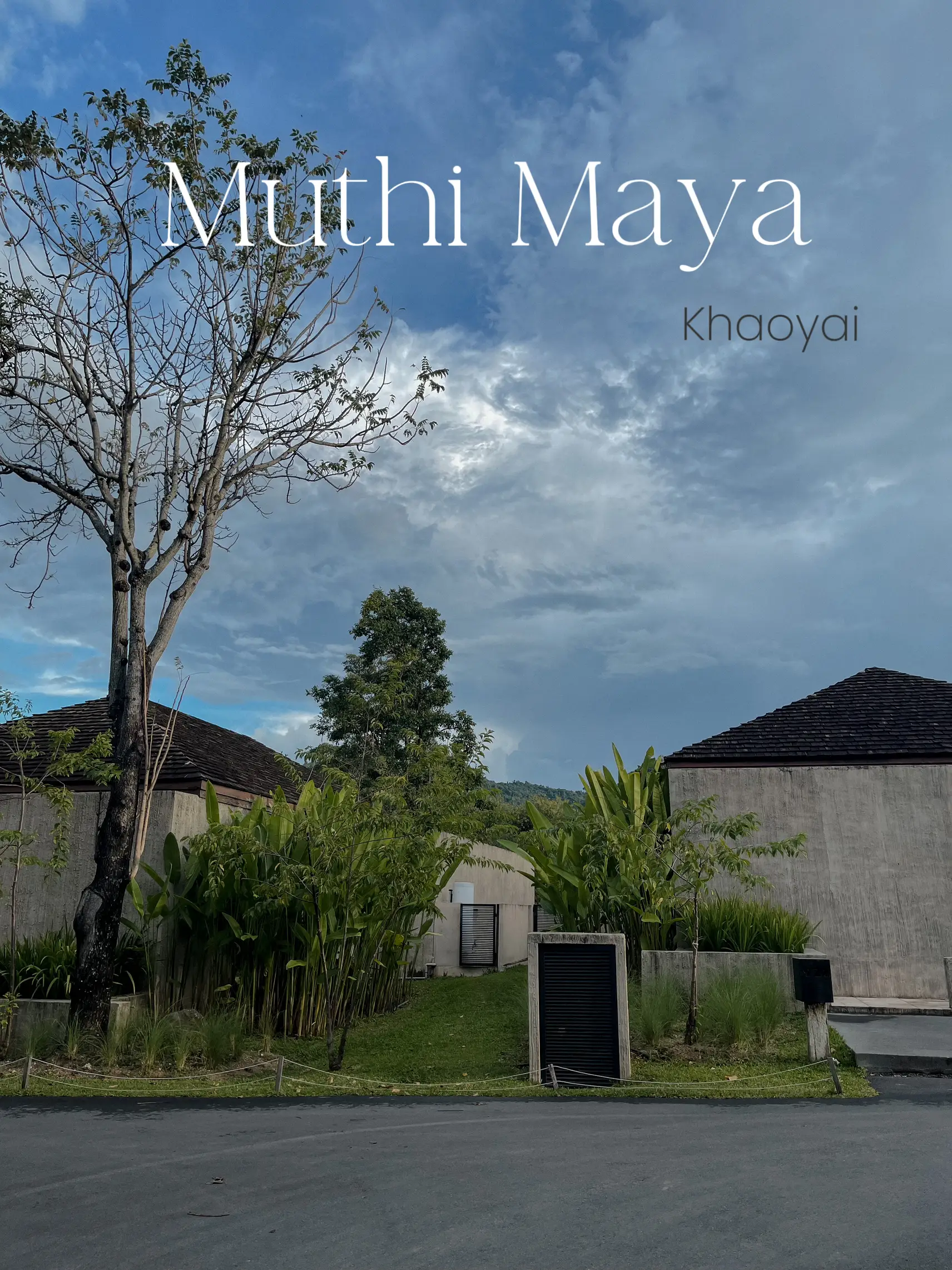 Muthi Maya Khaoyai⛅️ | แกลเลอรีที่โพสต์โดย Jadadadam | Lemon8