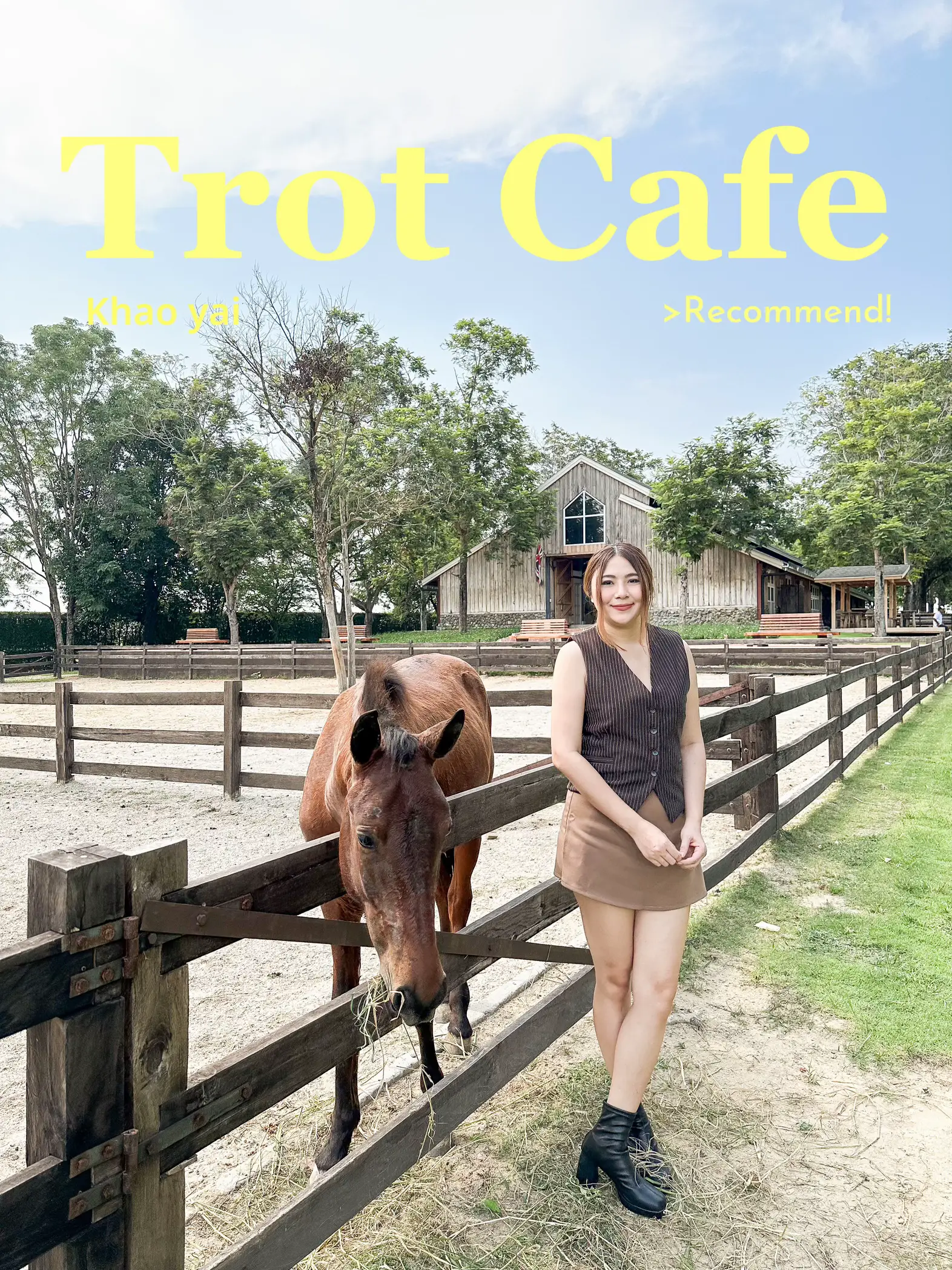 🐎Trot cafe. He's big. There's a dwarf horse driving a vintage car. Nice ...