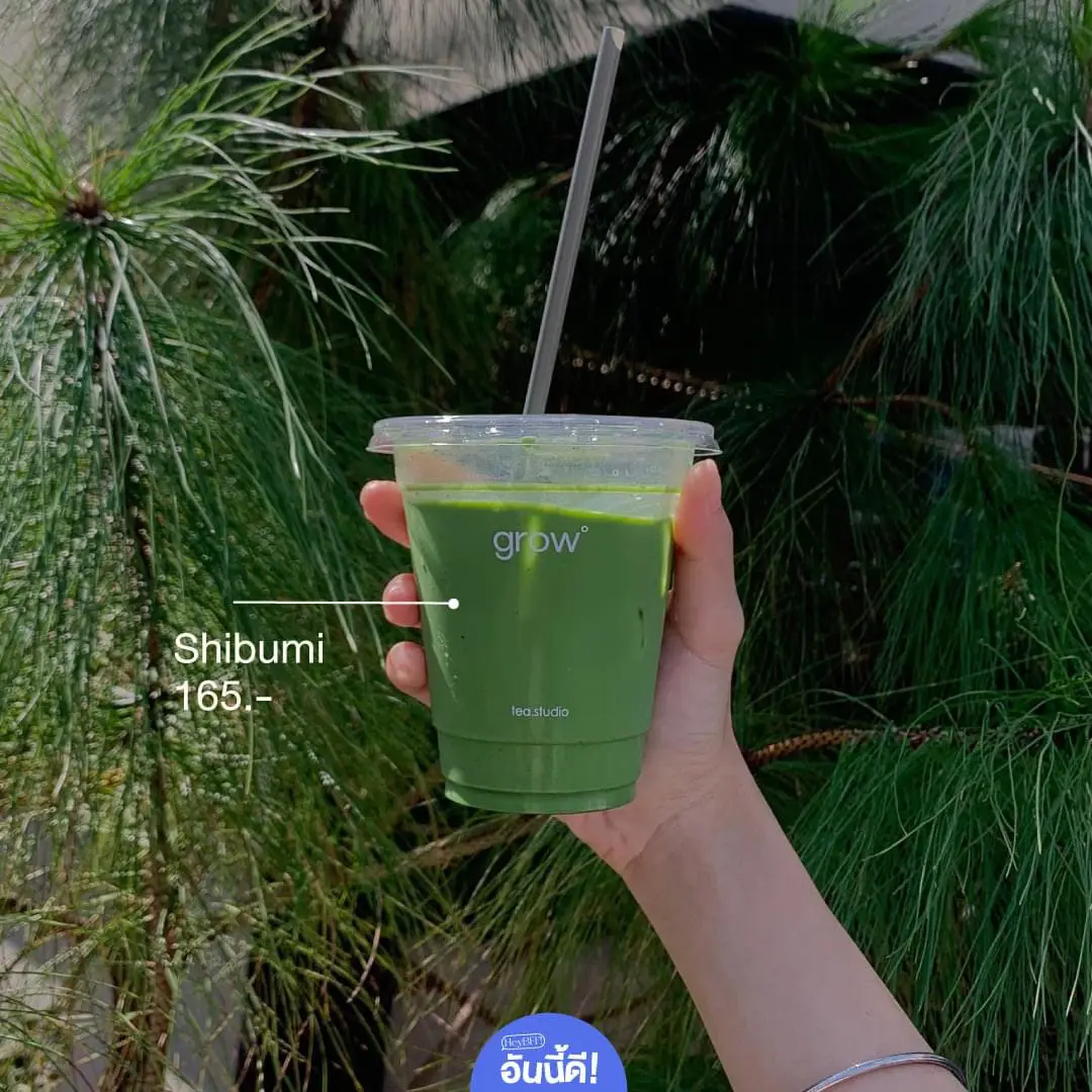 🍵#อันนี้ดี | Grow tea.studio ร้านชาเขียวเจ้มจ้นมาก | แกลเลอรีที่โพสต์ ...